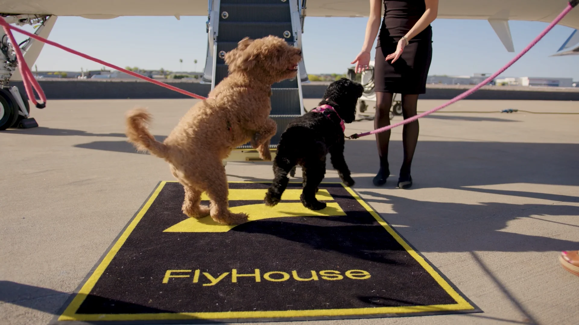 FlyHouse | Charterers