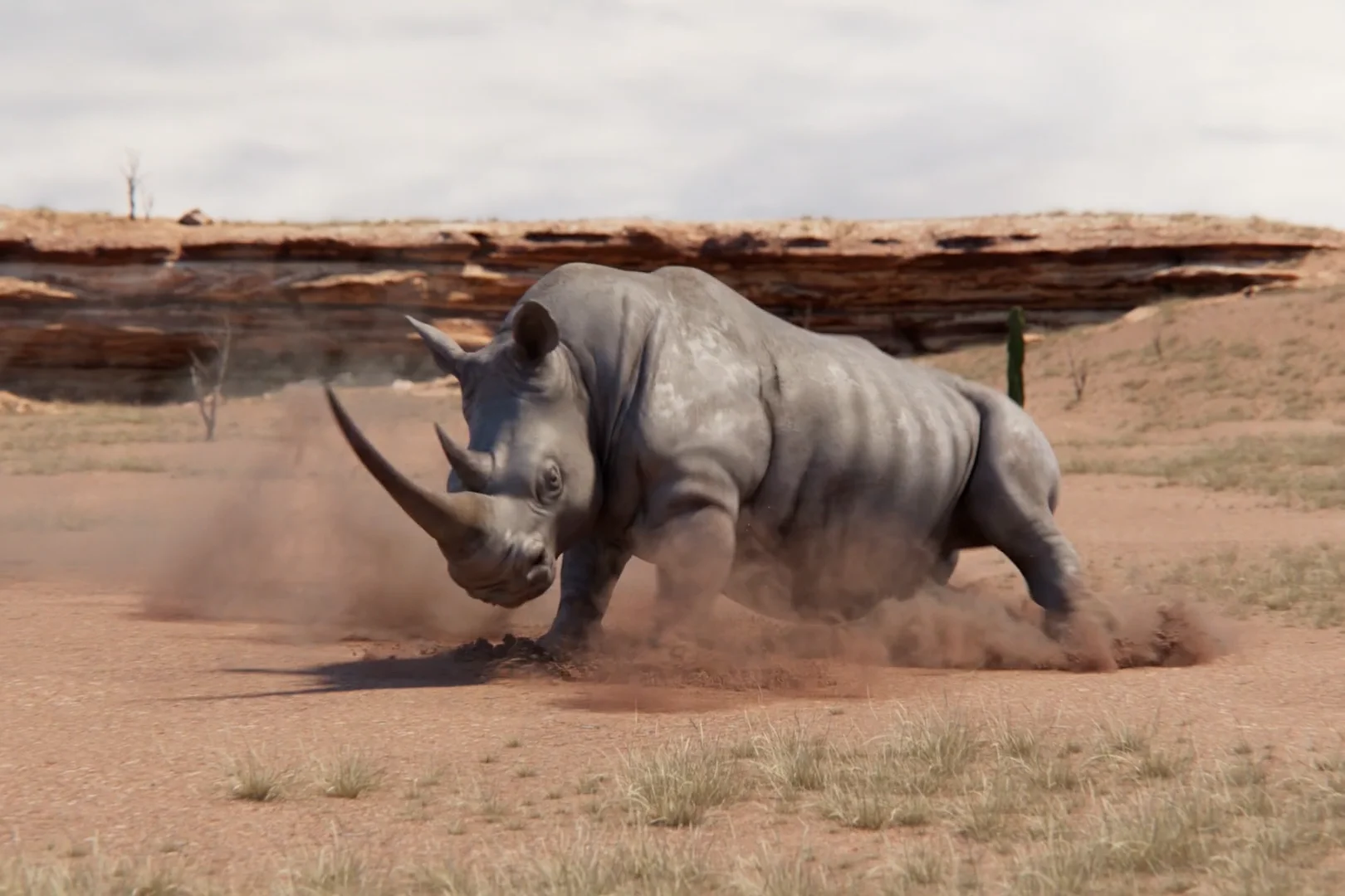 Running Rhino - Nav Singh Animation - Summer Practice Project