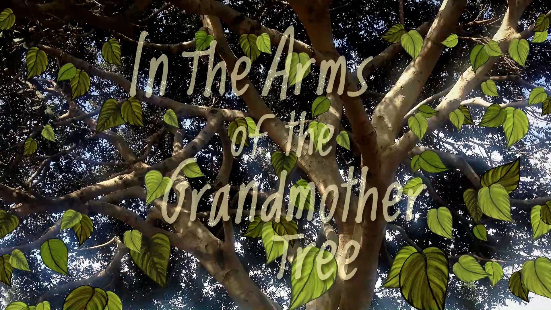 Inside Wide In the Arms of the Grandmother Tree Trailer