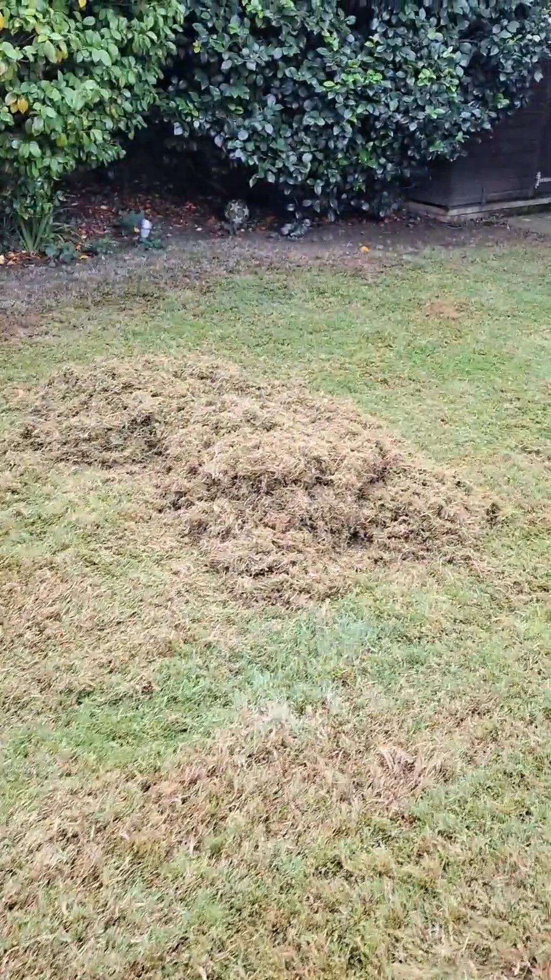 TopGrass UK Ltd - A Guide our Lawn Improver Service