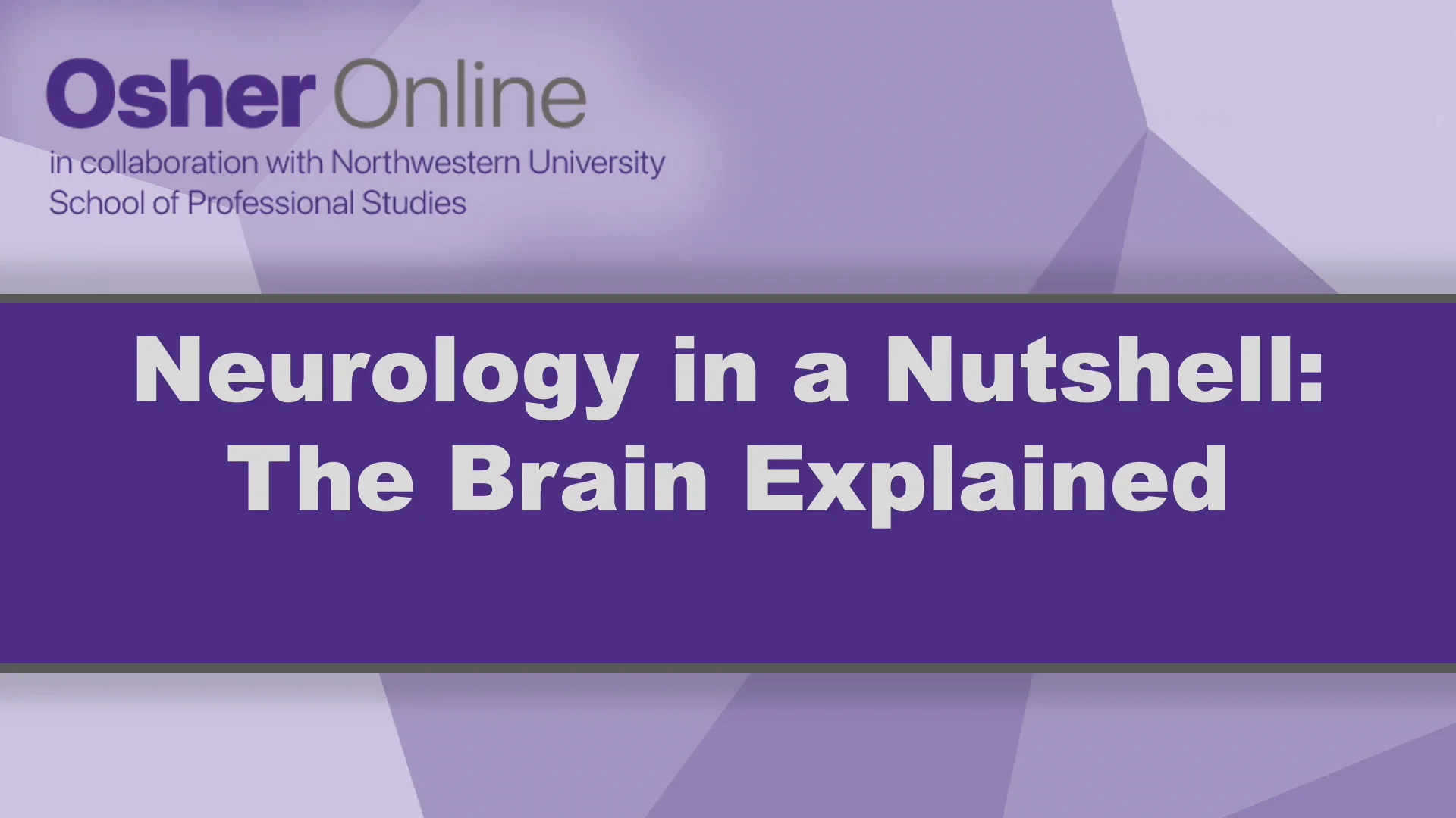 2025 Spring Neurology in a Nutshell-The Brain Explained