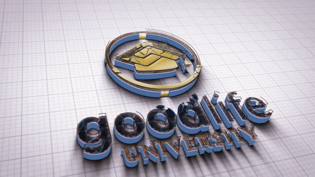 Living the GoodLife: Creating Tech-Leveraged Human Services for the ...