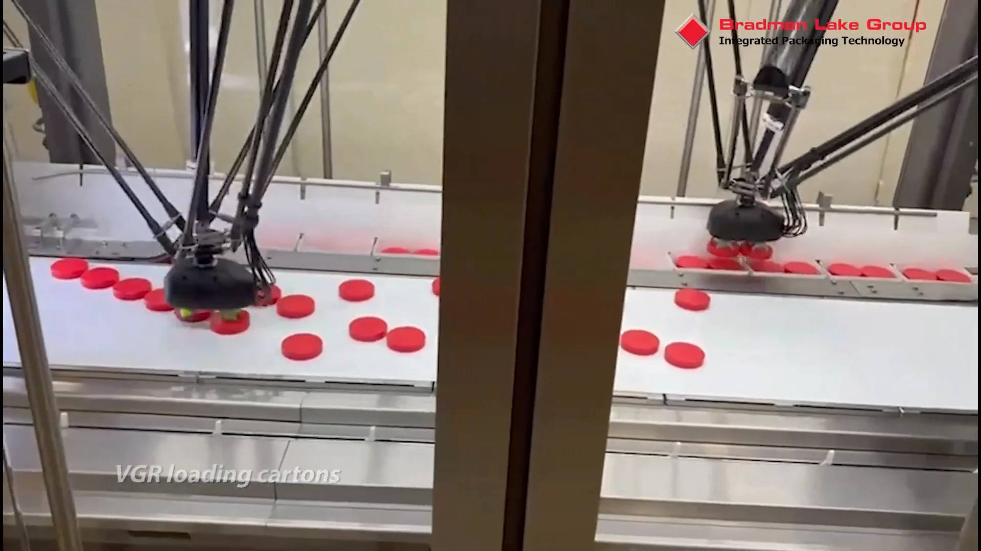 Pack Expo 2024 Sneak Peek - VGR Vision Guided Robot