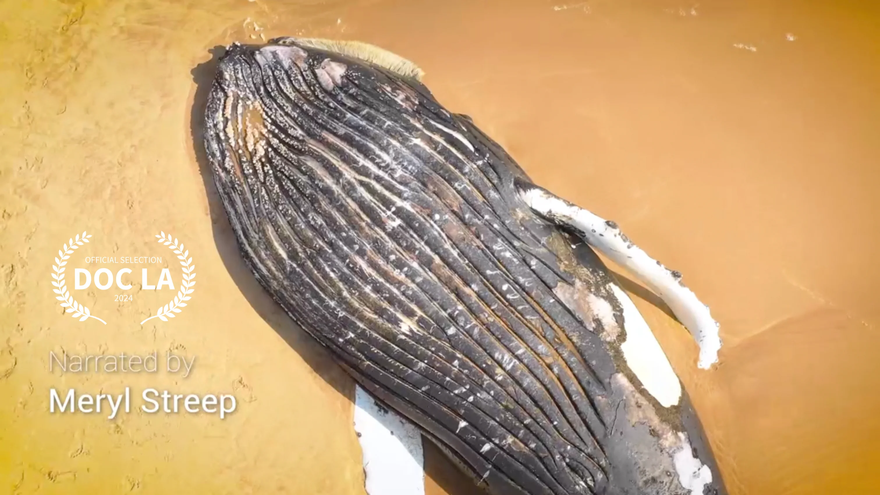 DOC LA - Escape From Extinction: Rewilding