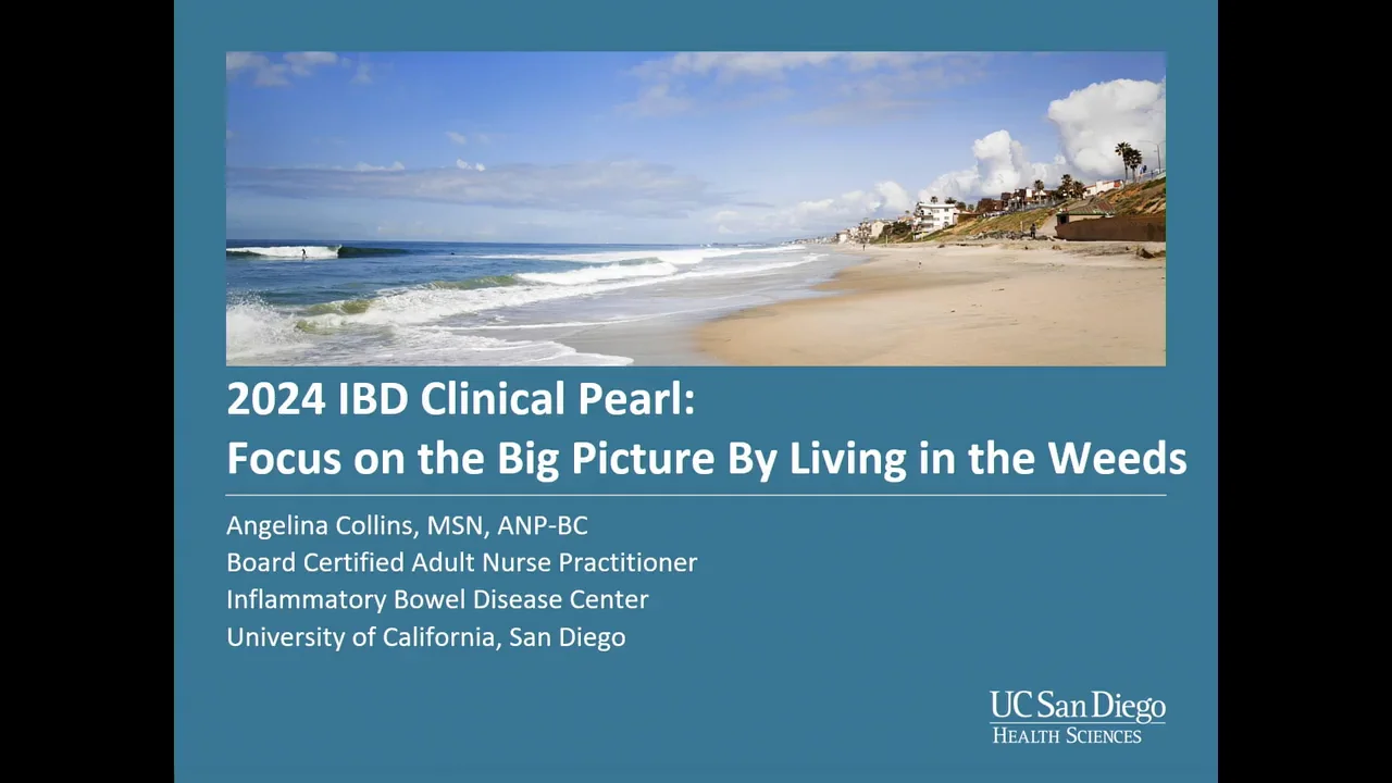 Angelina Collins, MSN, ANP-BC - Clinical Pearls for 2024