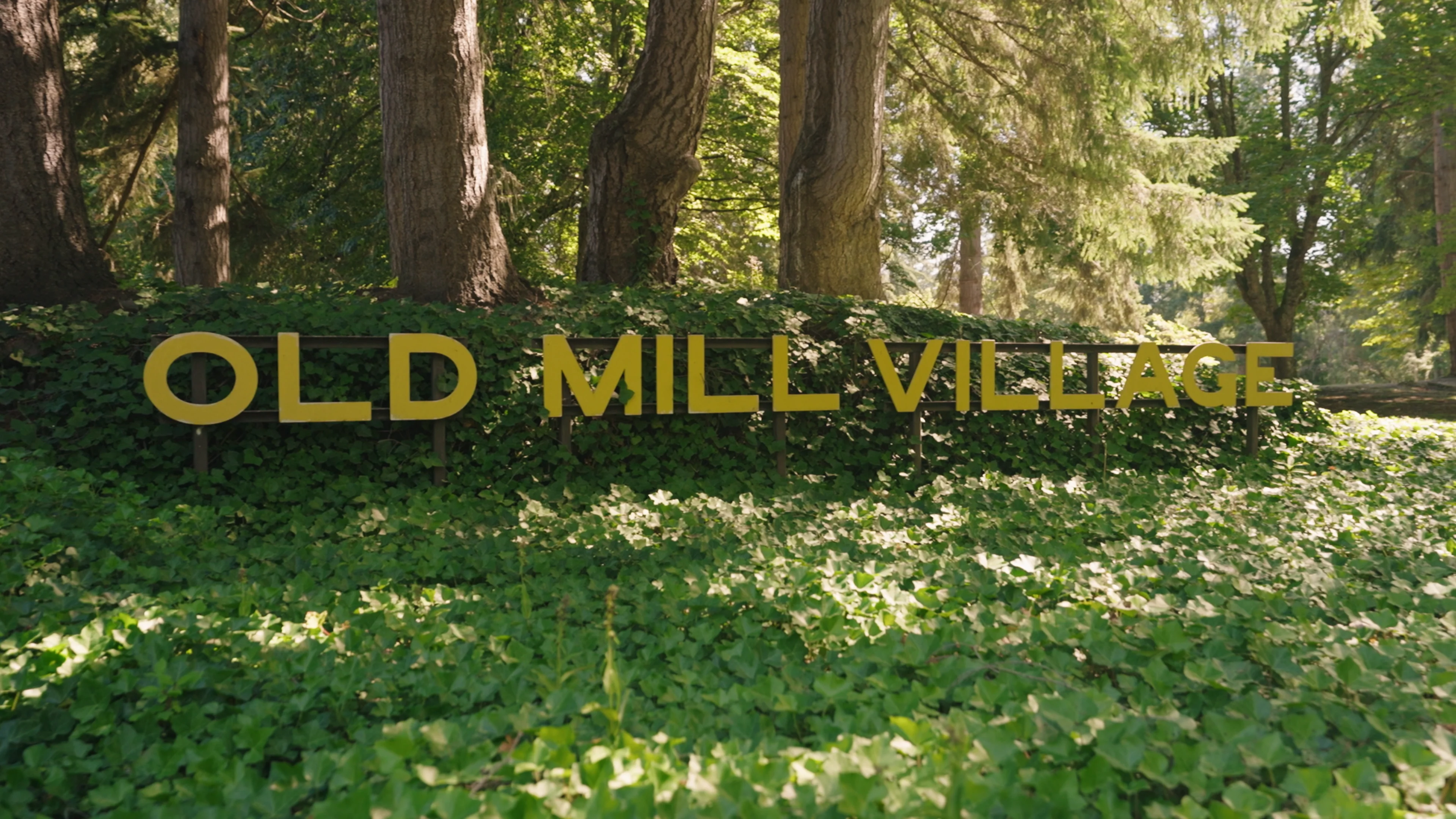 Old Mill Village