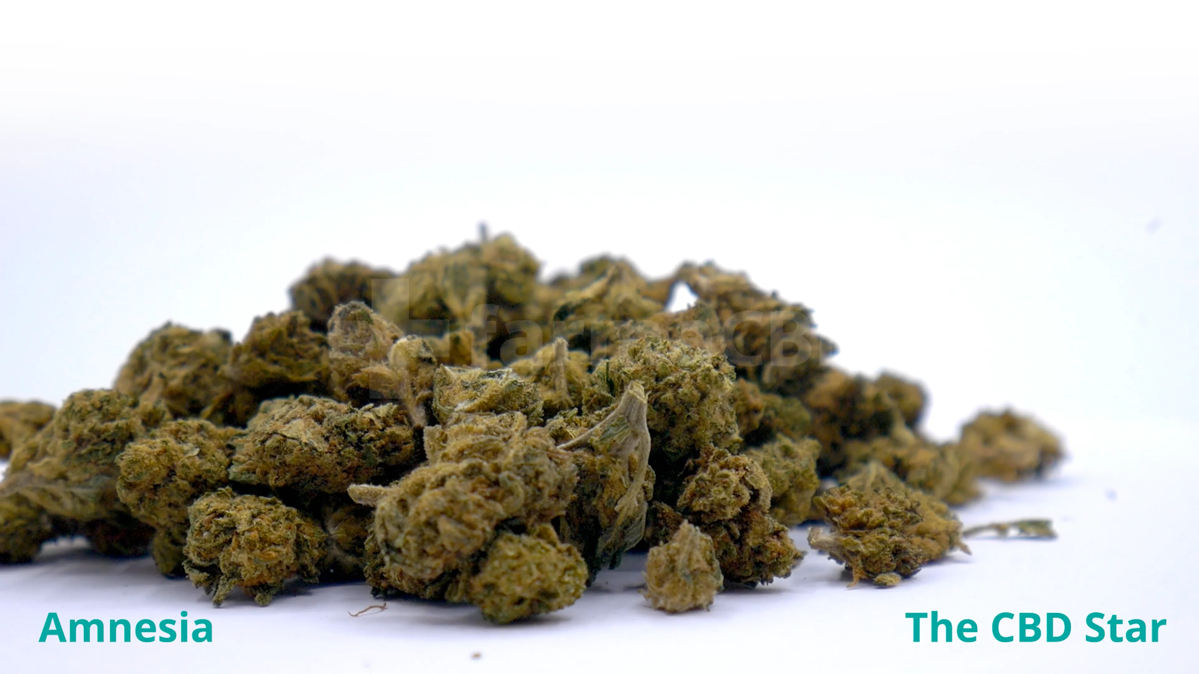 Amnesia The CBD Star