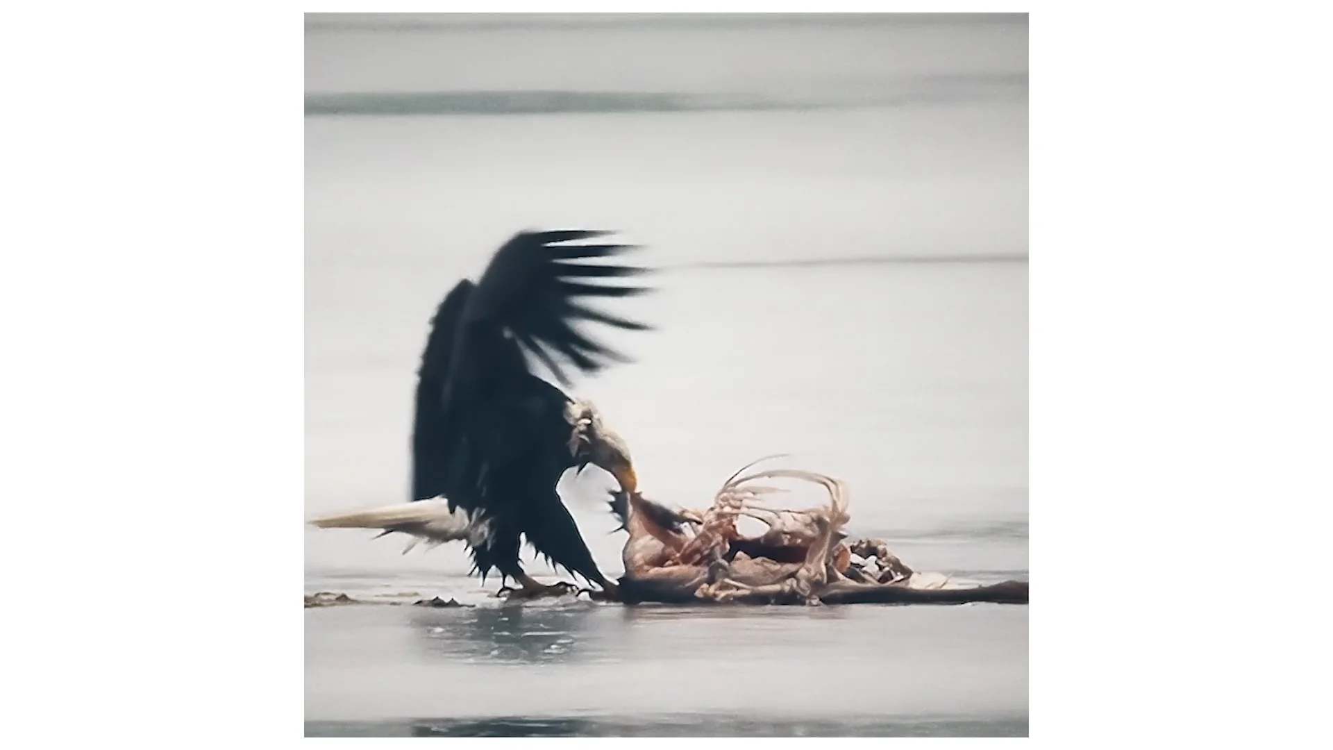 Nested Sequence 18_3