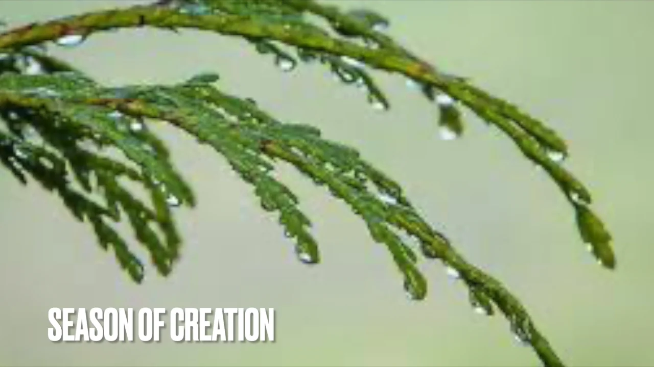 HOLY COMMUNION SUN SEPT 22 (SEASON OF CREATION) "GO WITH THE FLOW ...