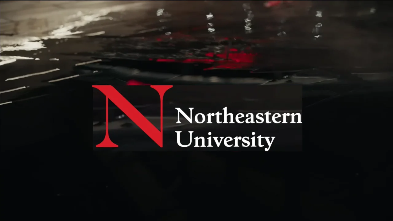 Workday Sneak Peak: Customer Confirmation Sessions