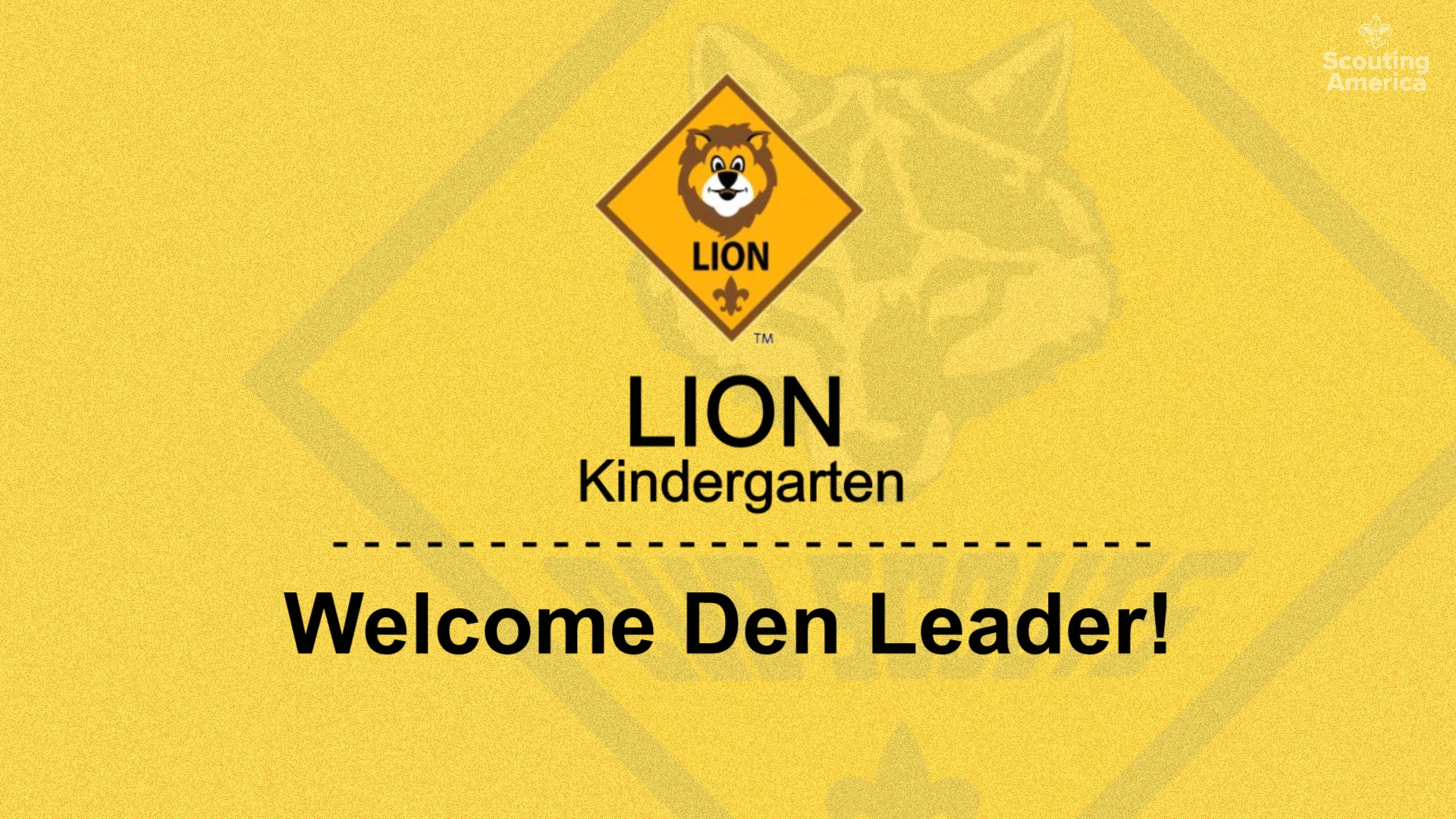 Scouting America Cub Scouts Lion Den Leader Overview 92324