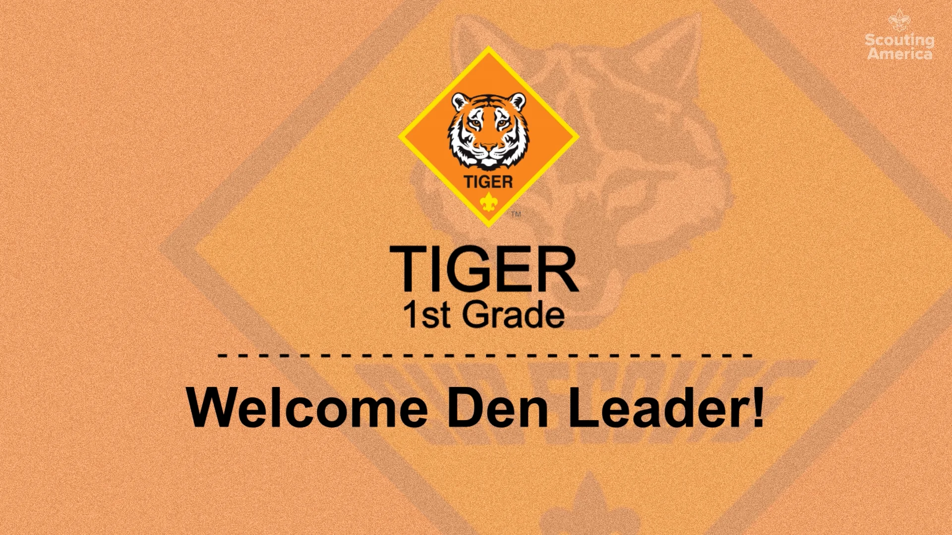 SA Cub Scouts Tiger Den Leader Overview 92324
