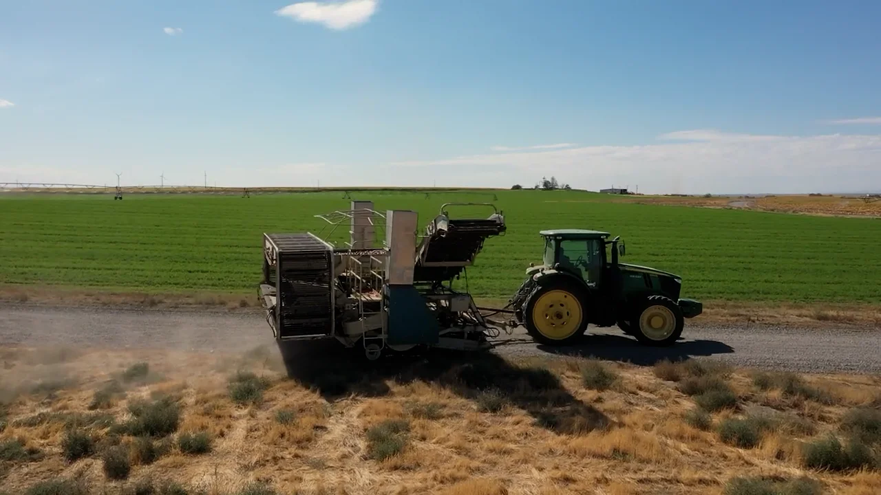 Environment/Science - News