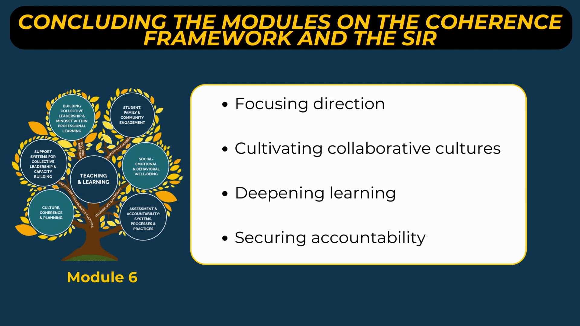 Concluding the Modules on the Coherence Framework and the SIR