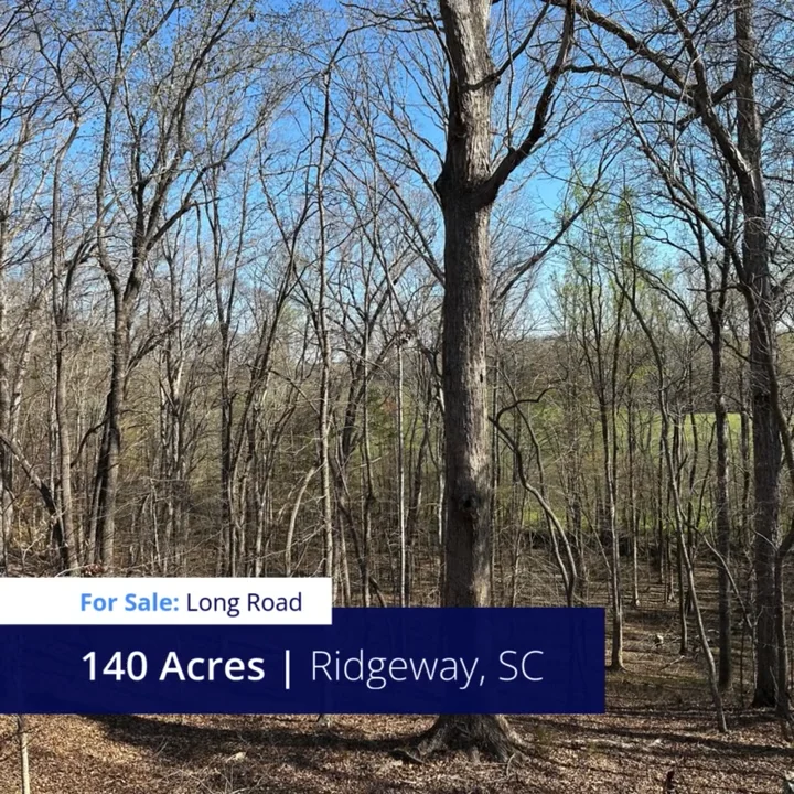 Ridgeway, 140 Acres | Long Road, Ridgeway, SC 29130