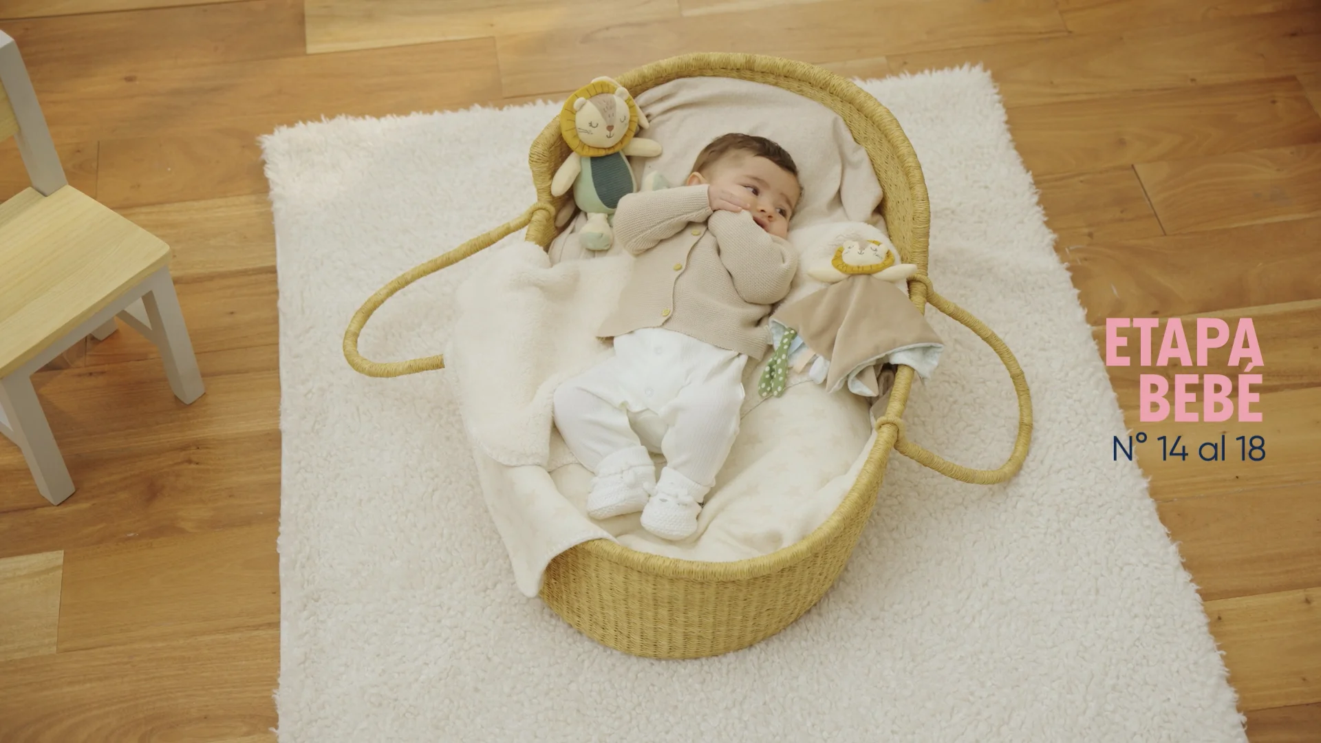 Colloky Etapas - Bebé