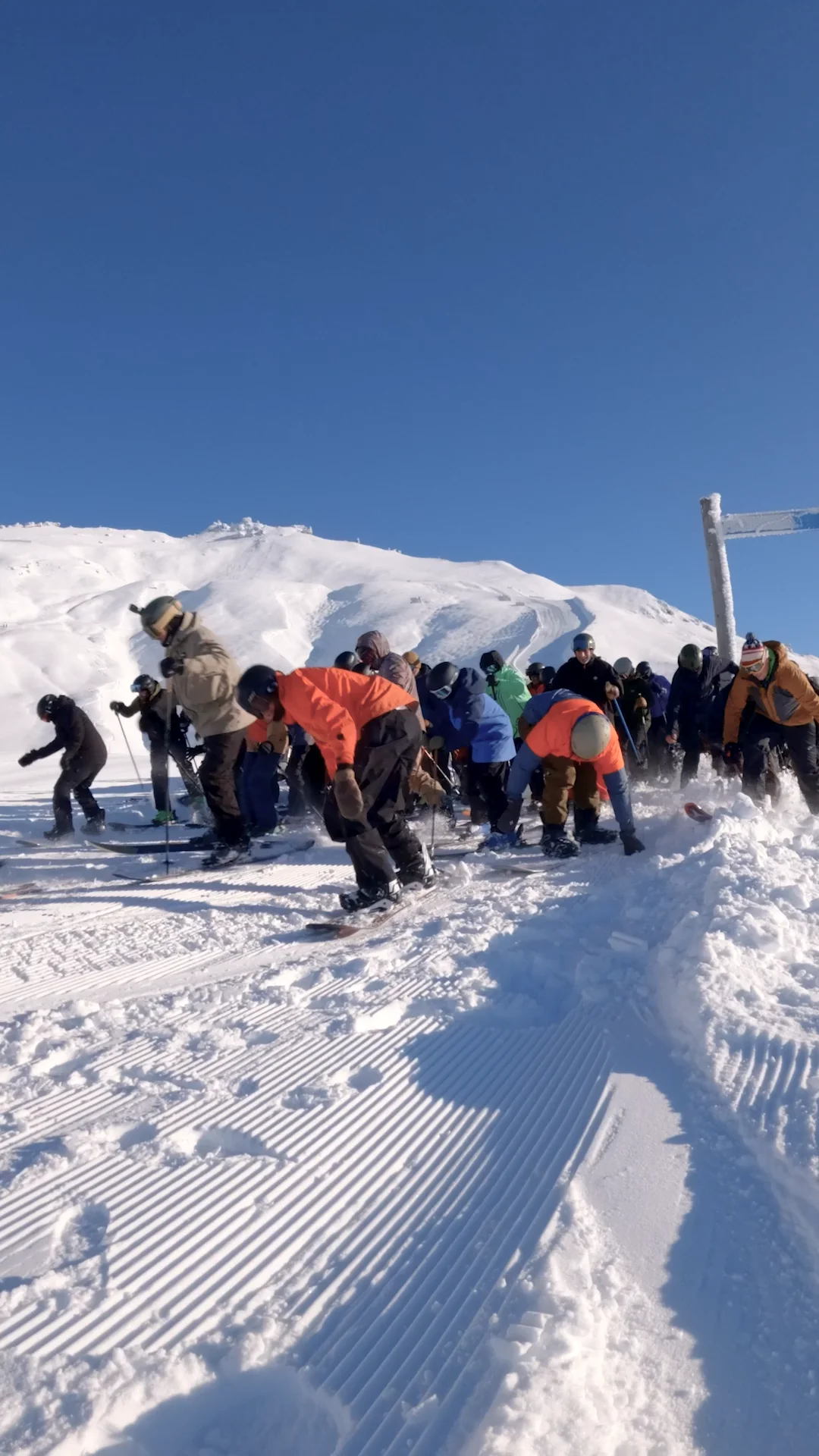 TC Bluebird Powder Day
