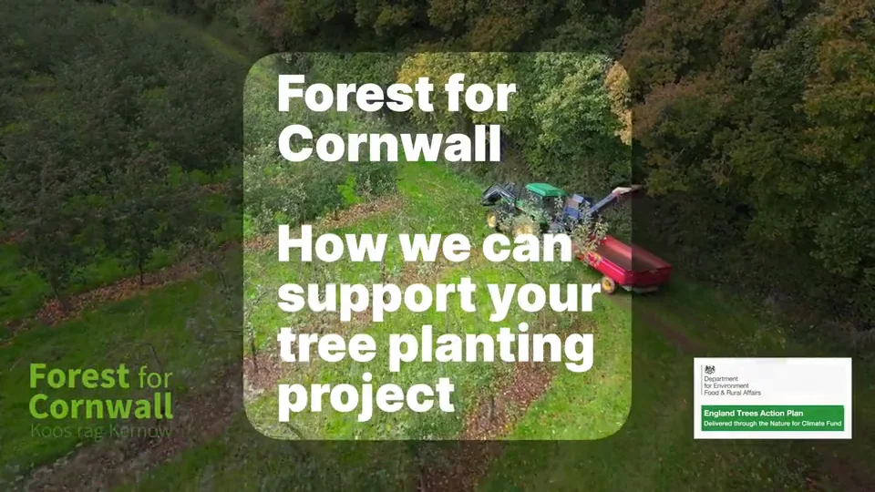 Forest For Cornwall - How we can support your tree planting project