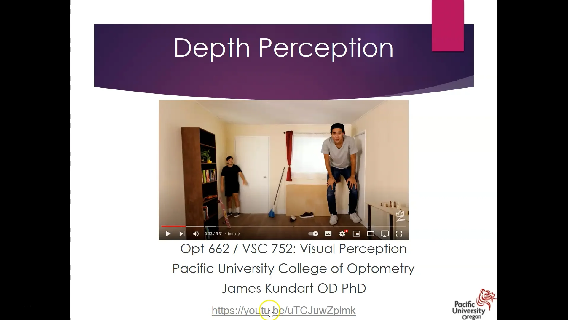 Opt 662 #8A Depth Perception Part 1 2024