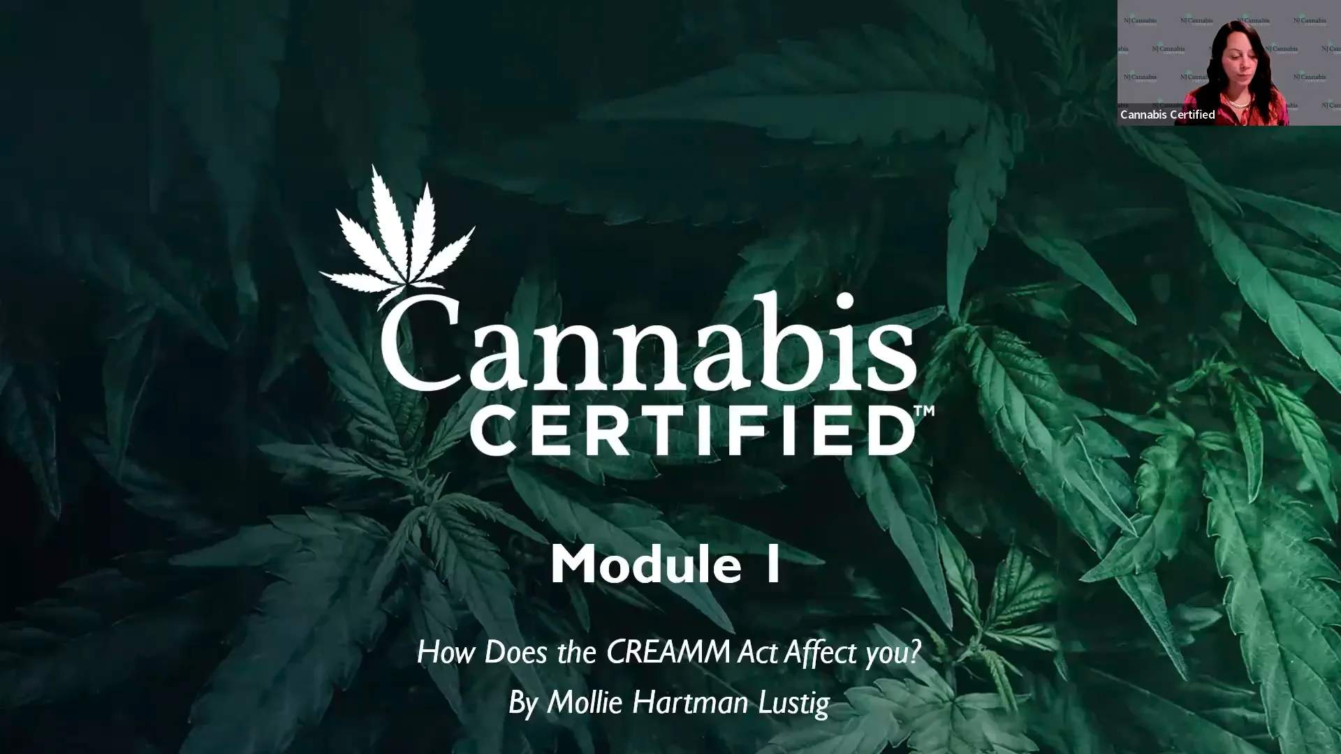 CREAMM Act Mod 1 - Mollie