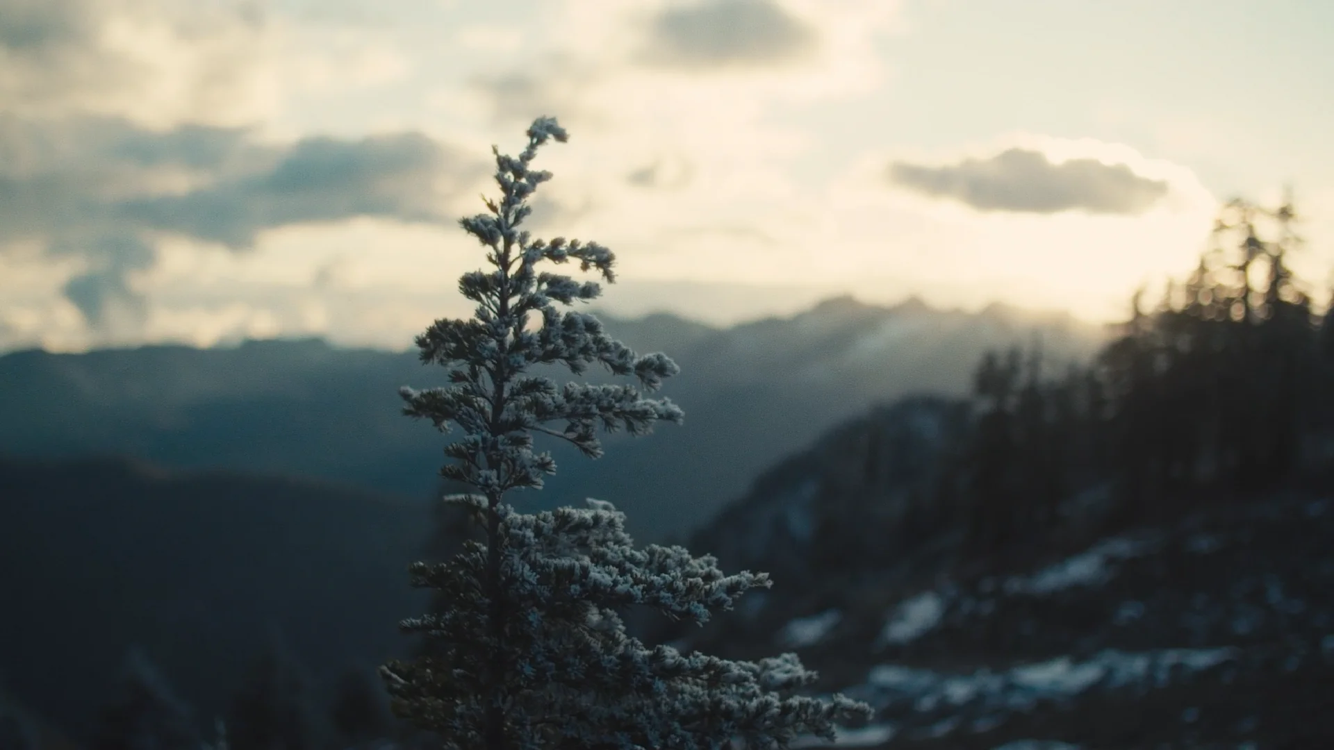 Nordic Circle in Nomadic Circle on Vimeo