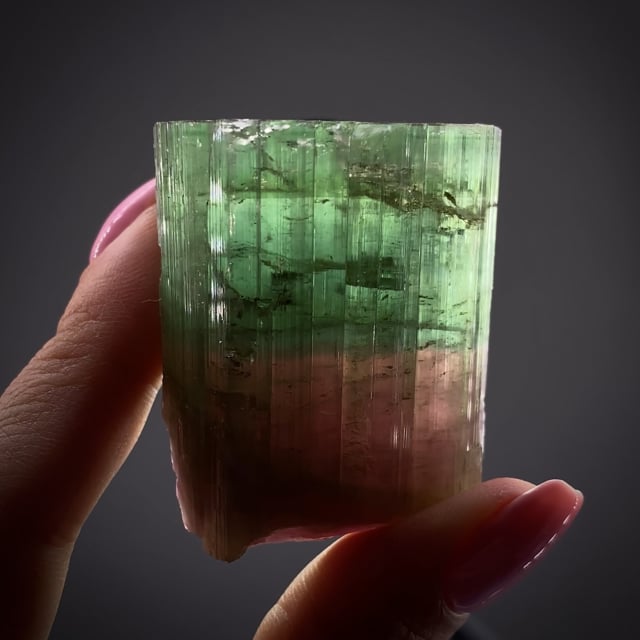 Tourmaline - SM24-159 - Tourmaline King Mine - USA Mineral Specimen
