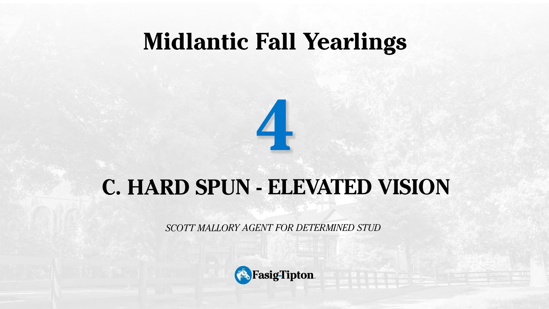 FTMOCT24, Hip 4, c. Hard Spun-Elevated Vision 23