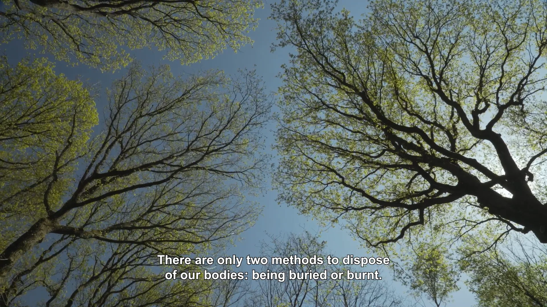 Compost Me - Trailer