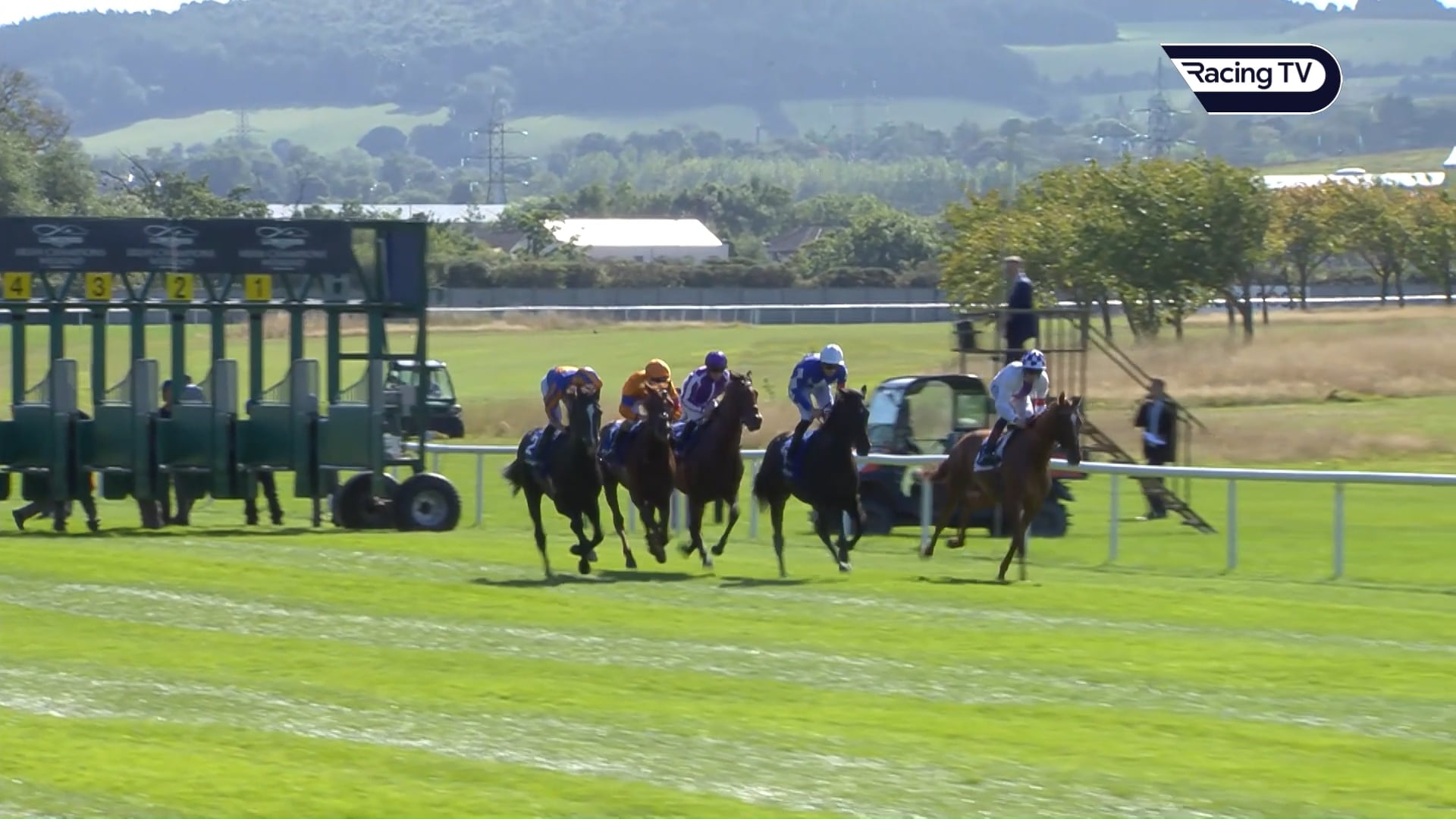 Auguste Rodin | Stallions - Coolmore Ireland