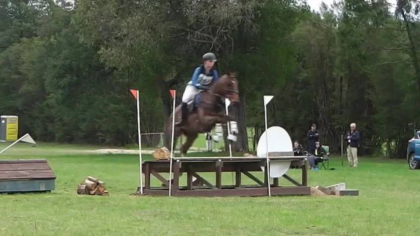 Darcy Pearson riding Brutally honest 258 EvA80 Shirley Heights EA ...