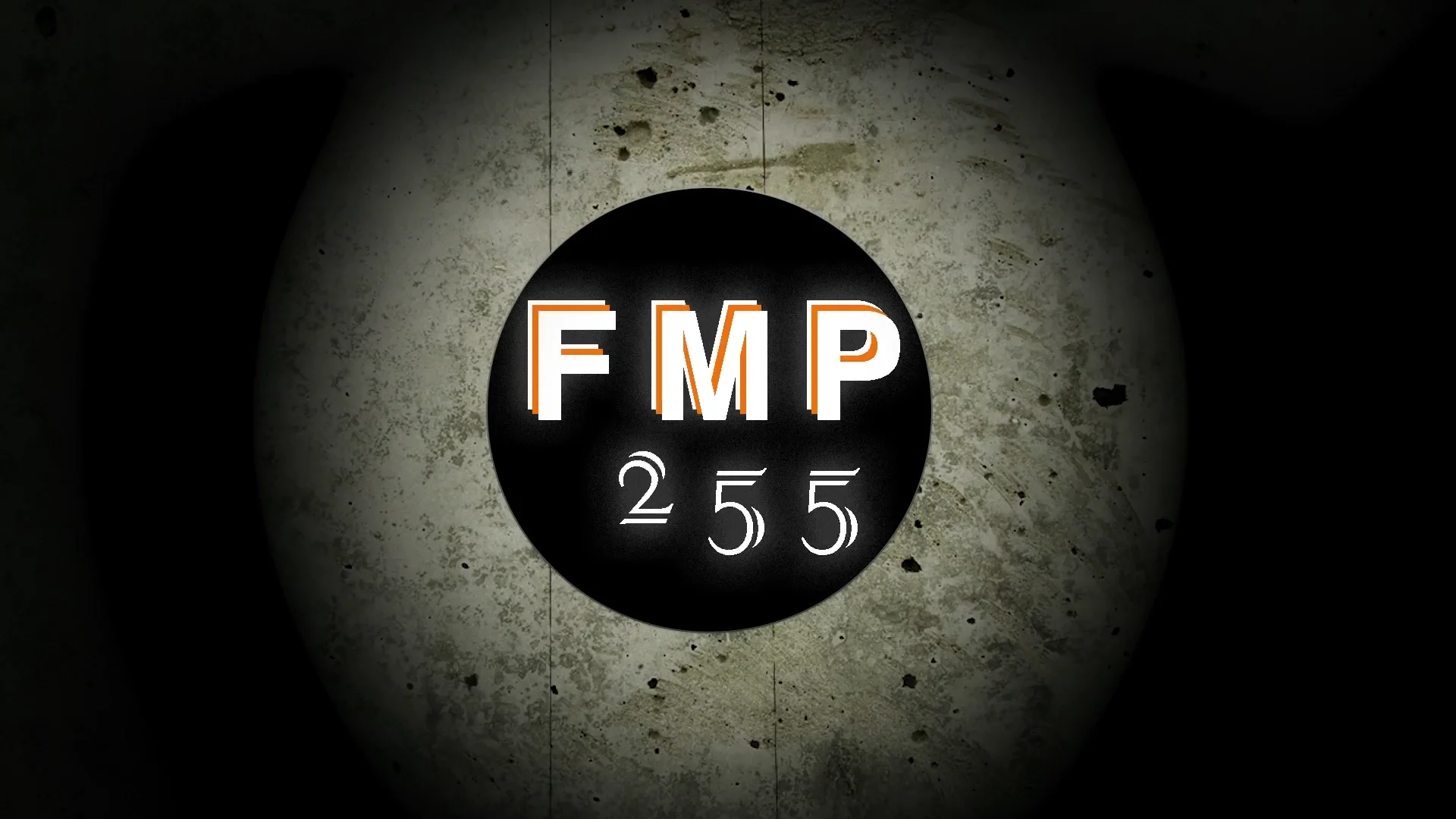 FMP 255 Video Project