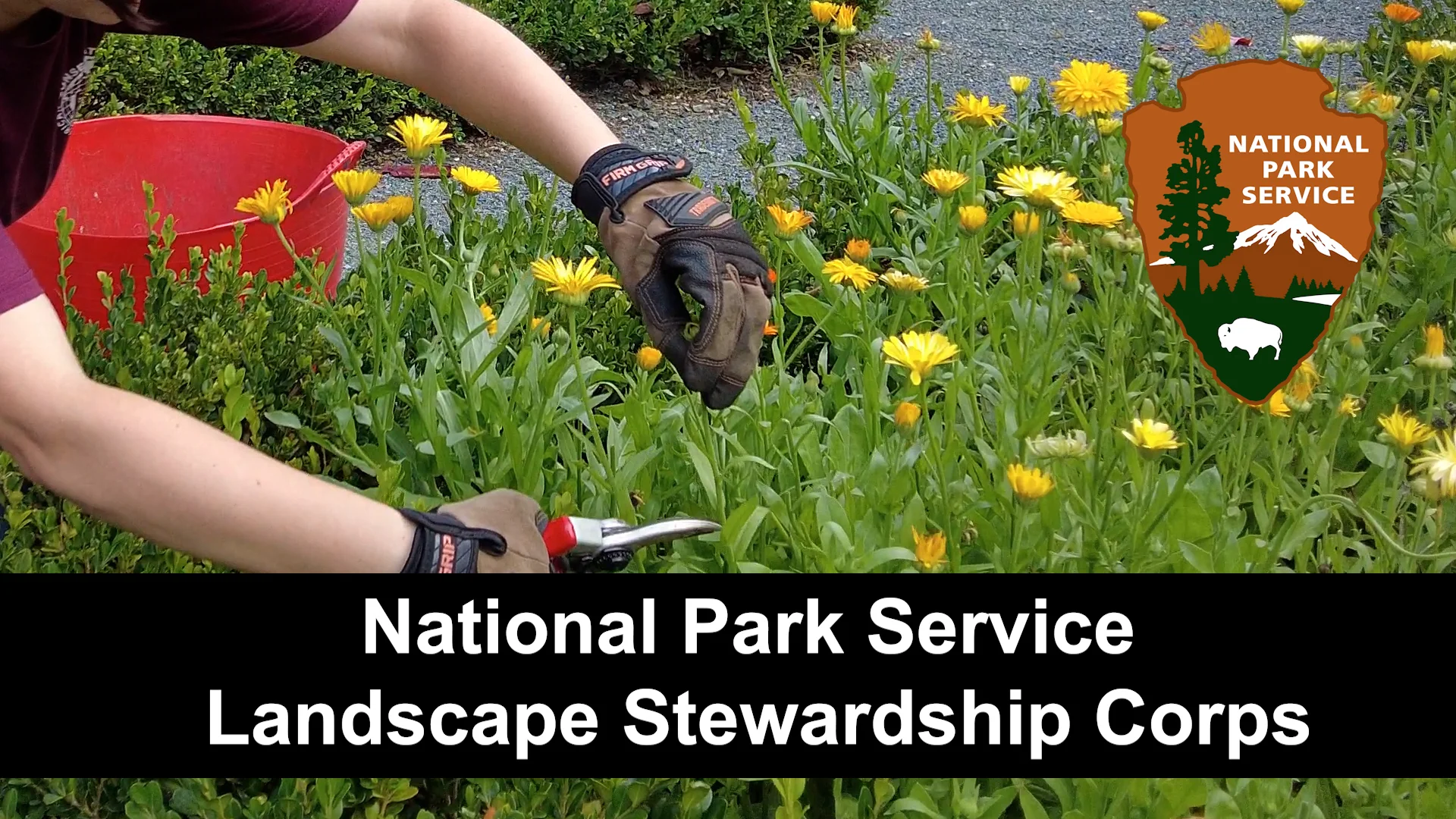 Landscape Stewardship Corps Promo