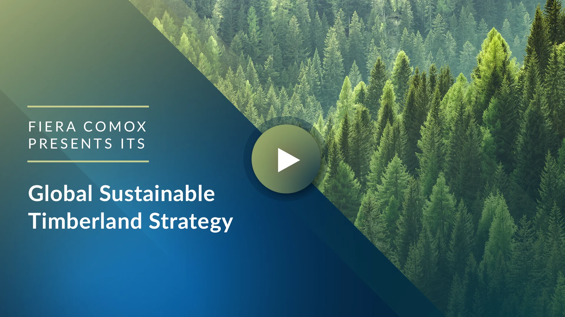 Fiera Comox presents its Global Sustainable Timberland Strategy