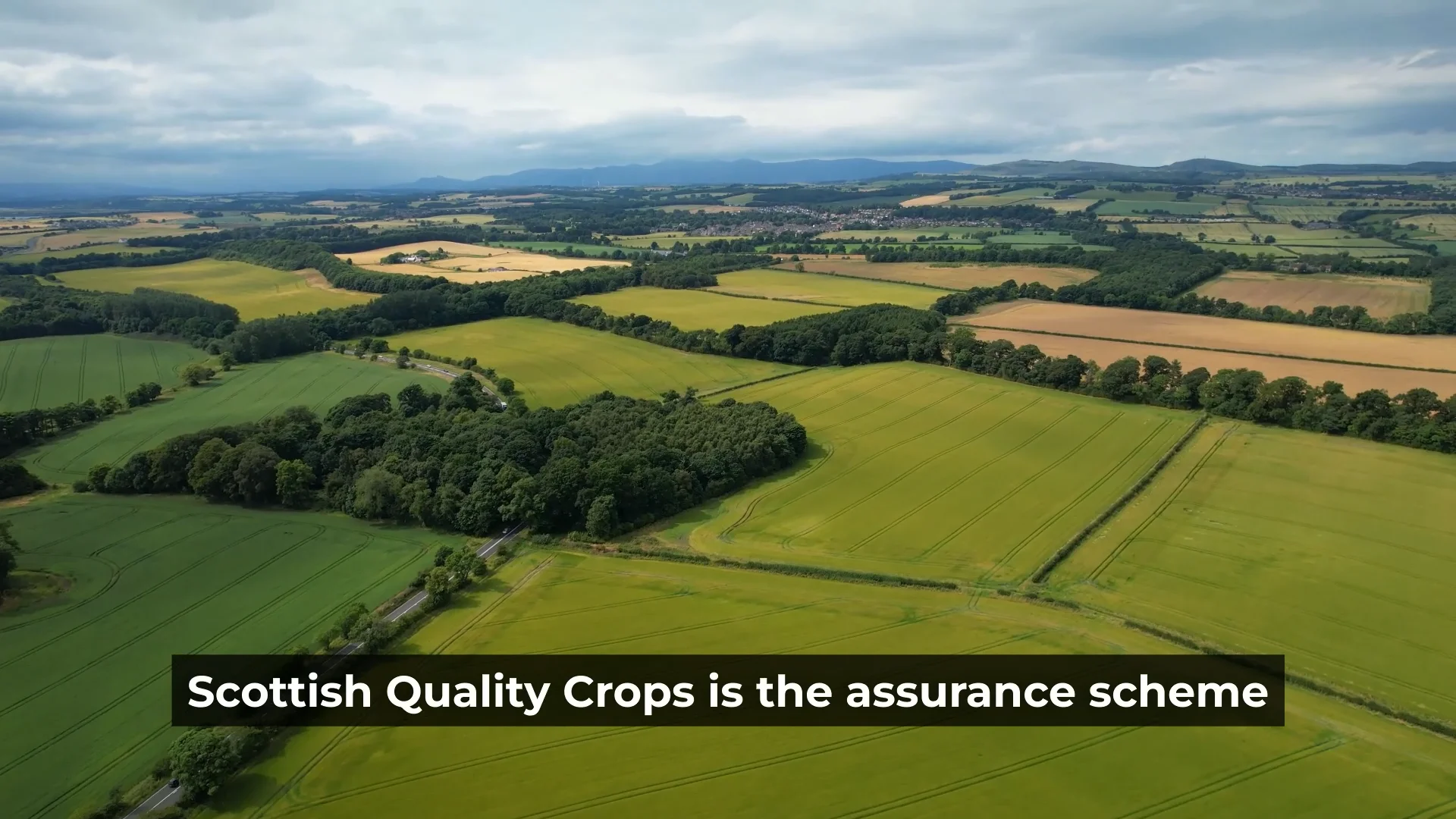 What is Scottish Quality Crops?