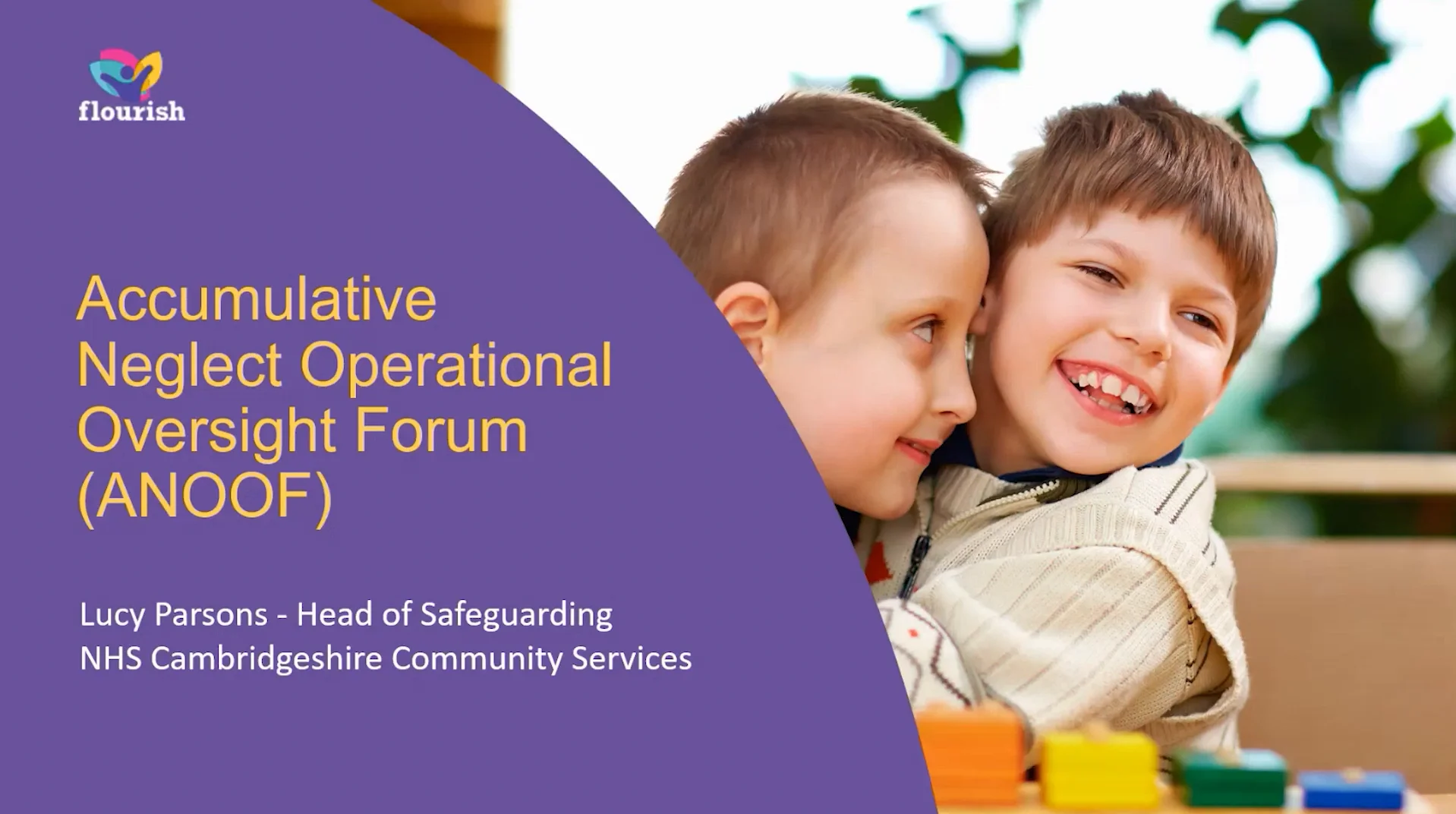 Accumulative Neglect Operational Oversight Forum (ANOOF) - DSL Webinar