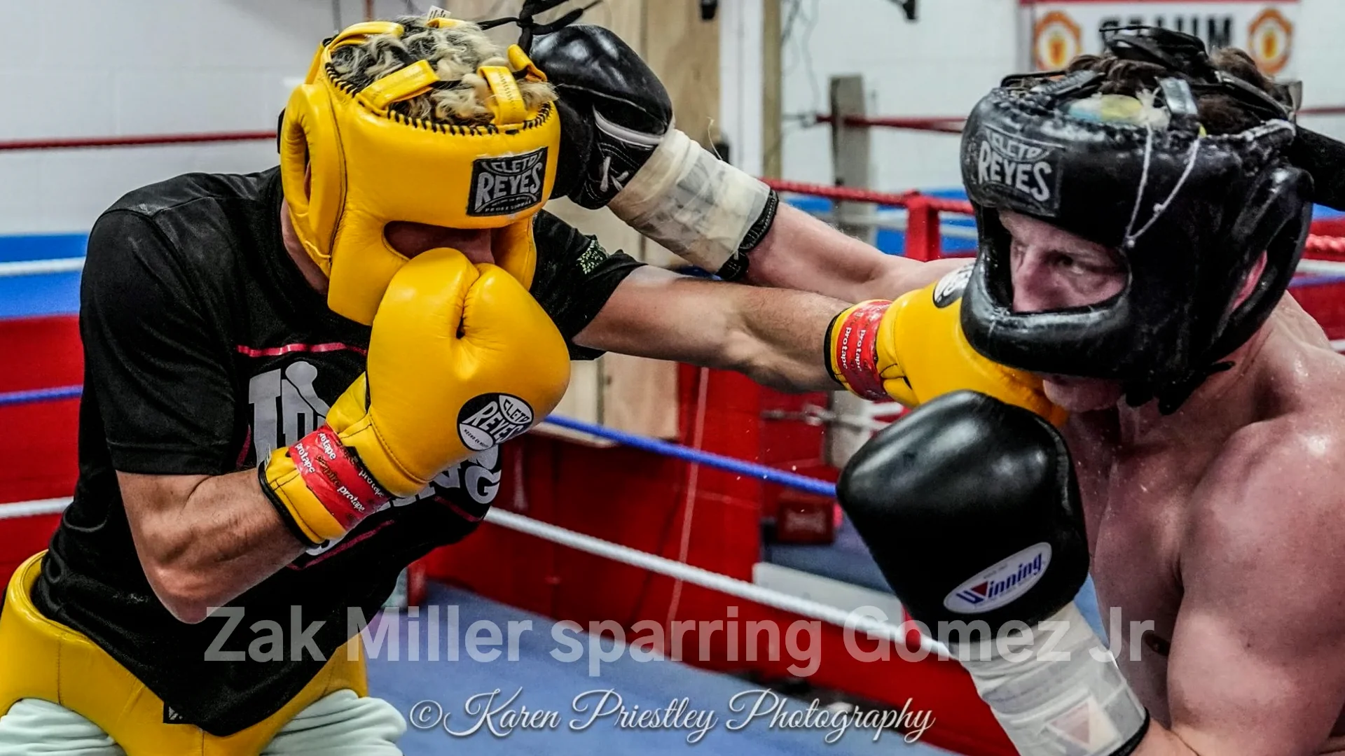Zak Miller Sparring Gomez Jr