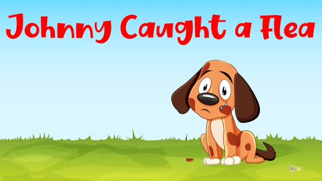 Johnny Caught a Flea | MusicplayOnline