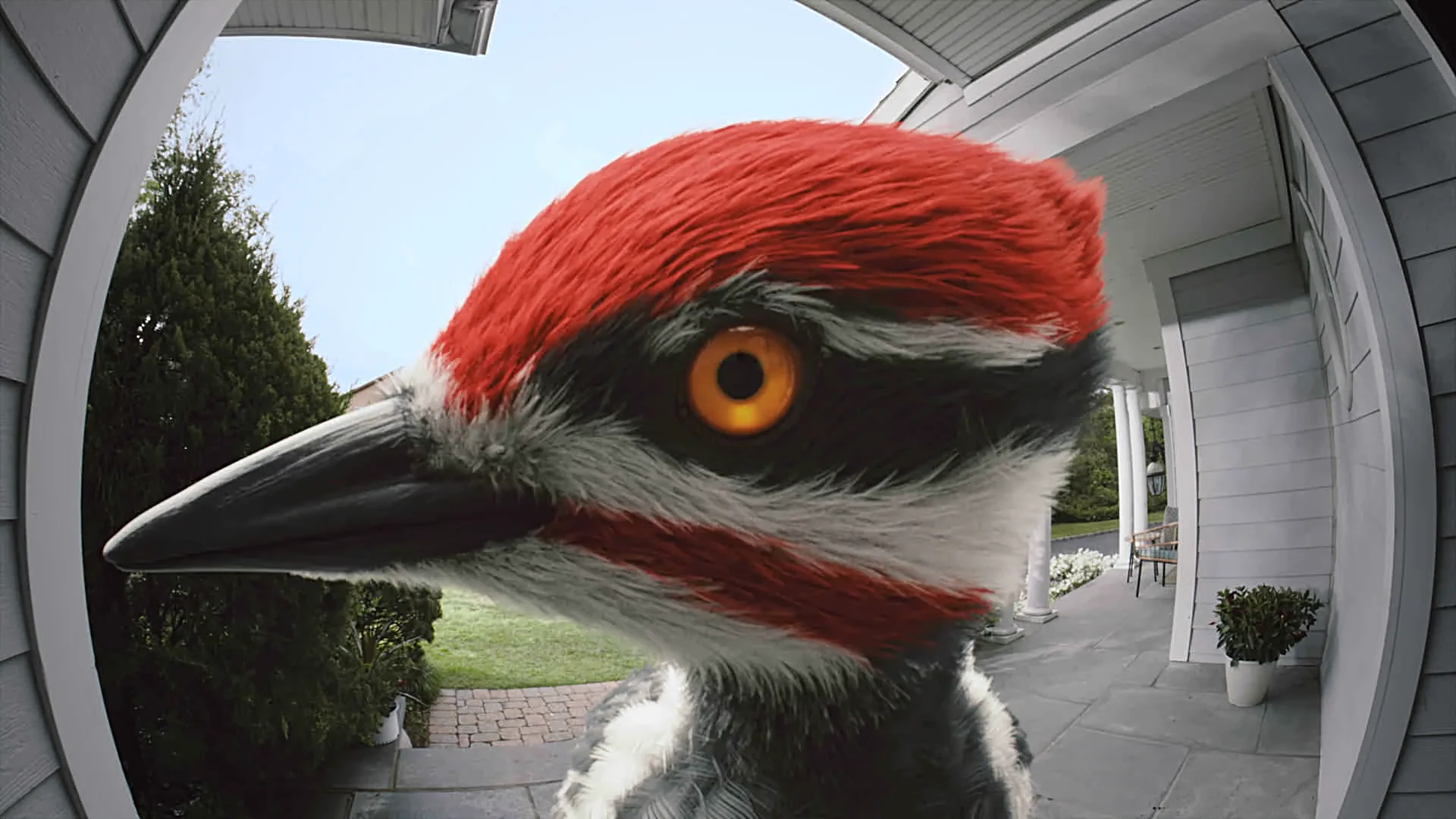 Verizon - 'Home Device Protect'