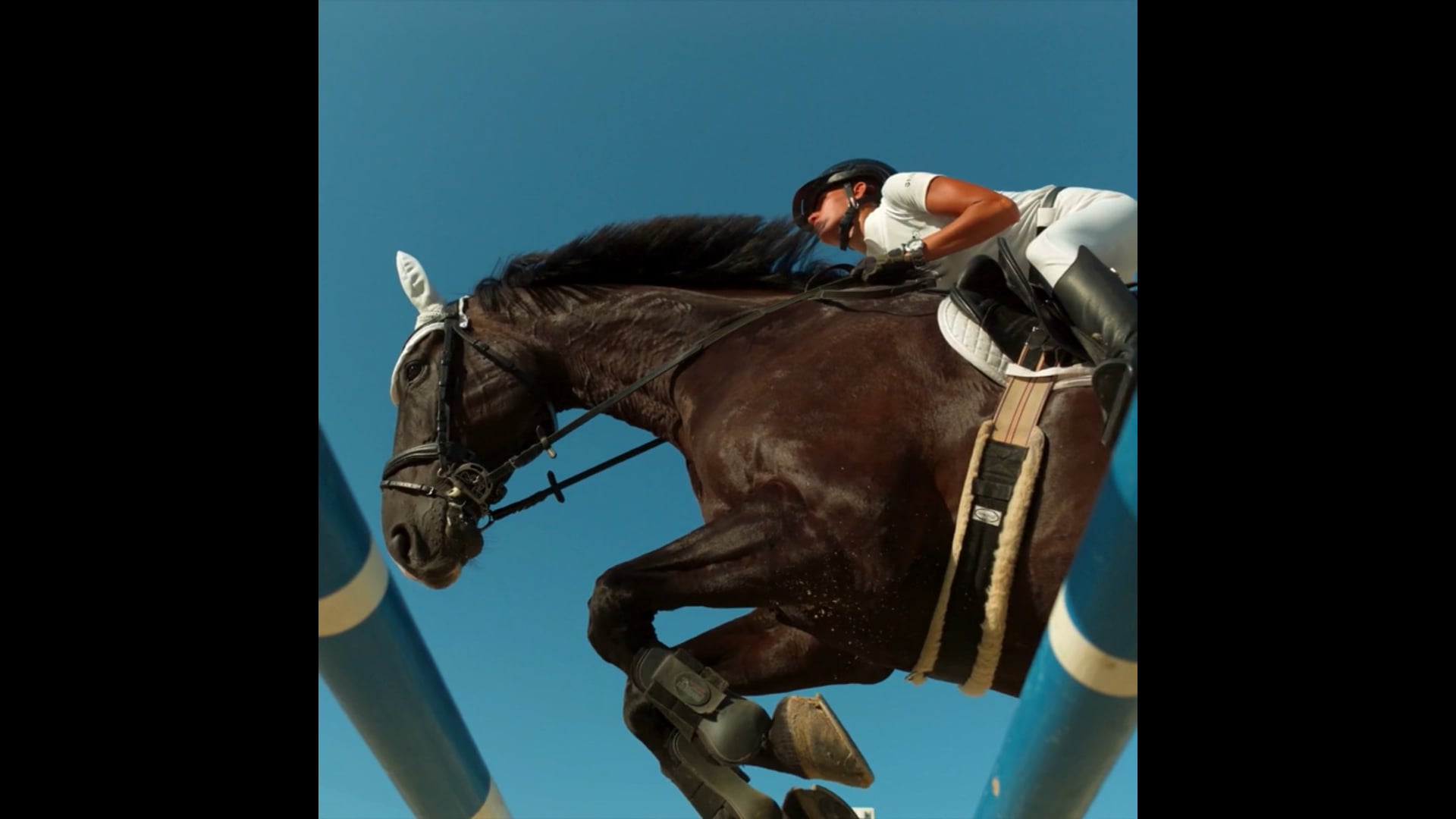 NEC Riding School | Equestrian Federation of Singapore