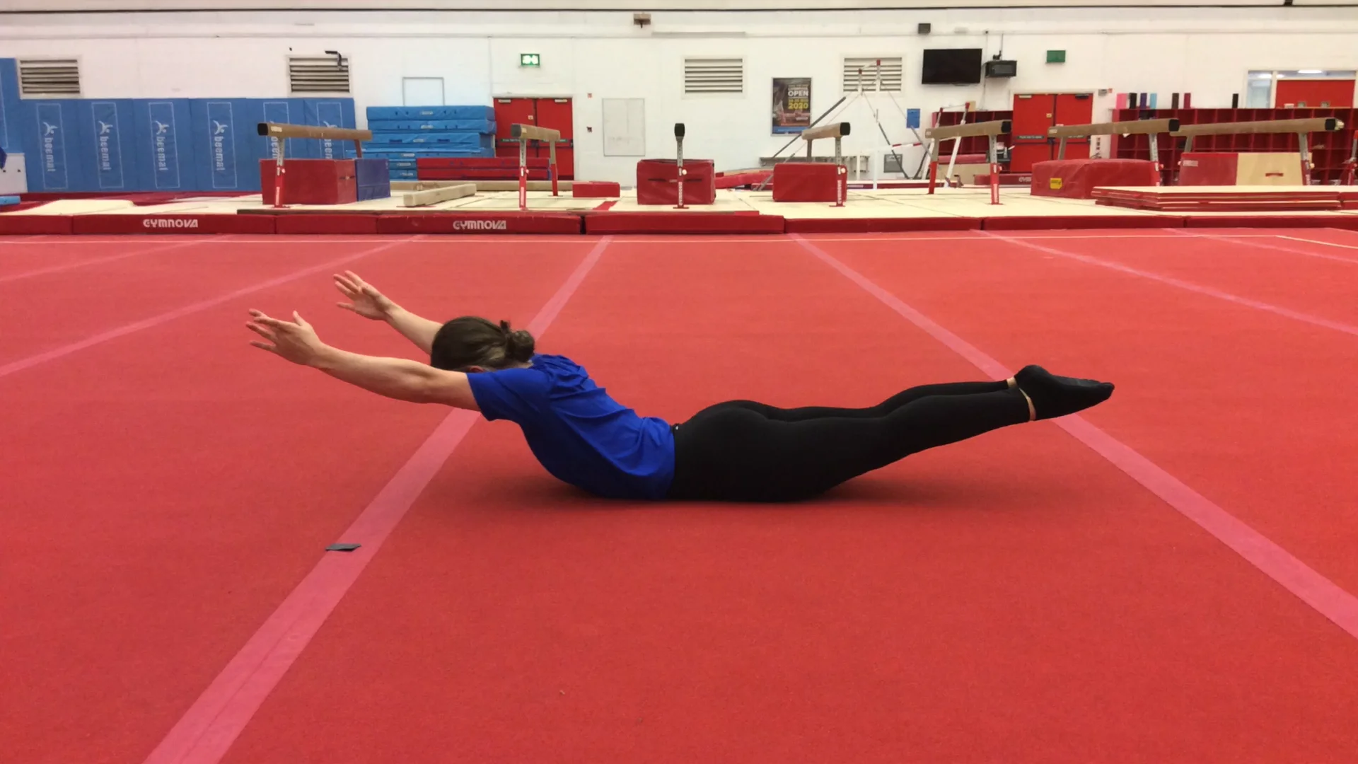 Log Rolls and Egg Rolls Lesson