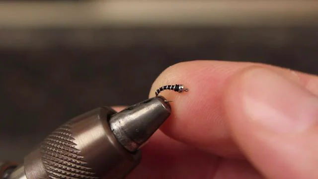 Zebra Midge on Vimeo