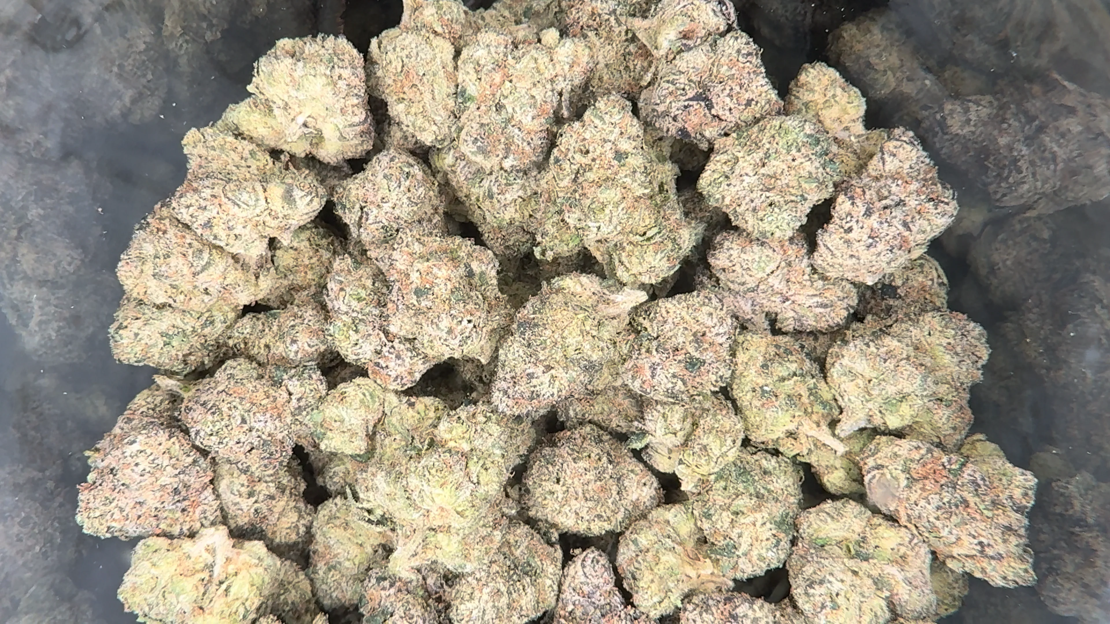 Obama Runtz (70/30 Indica Hybrid) Bay Area - Indoor