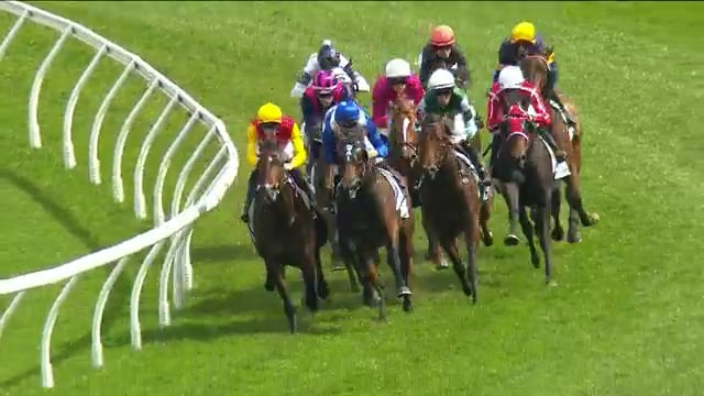 Exceedance - Stallion | Breednet