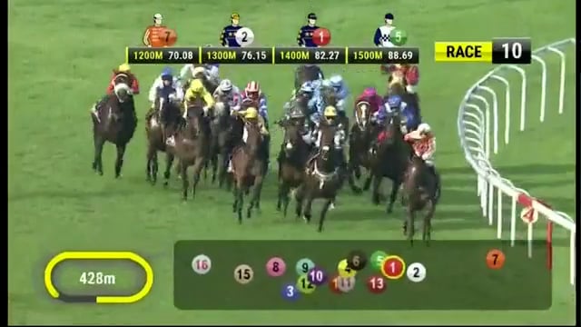 Star Witness - Stallion | Breednet