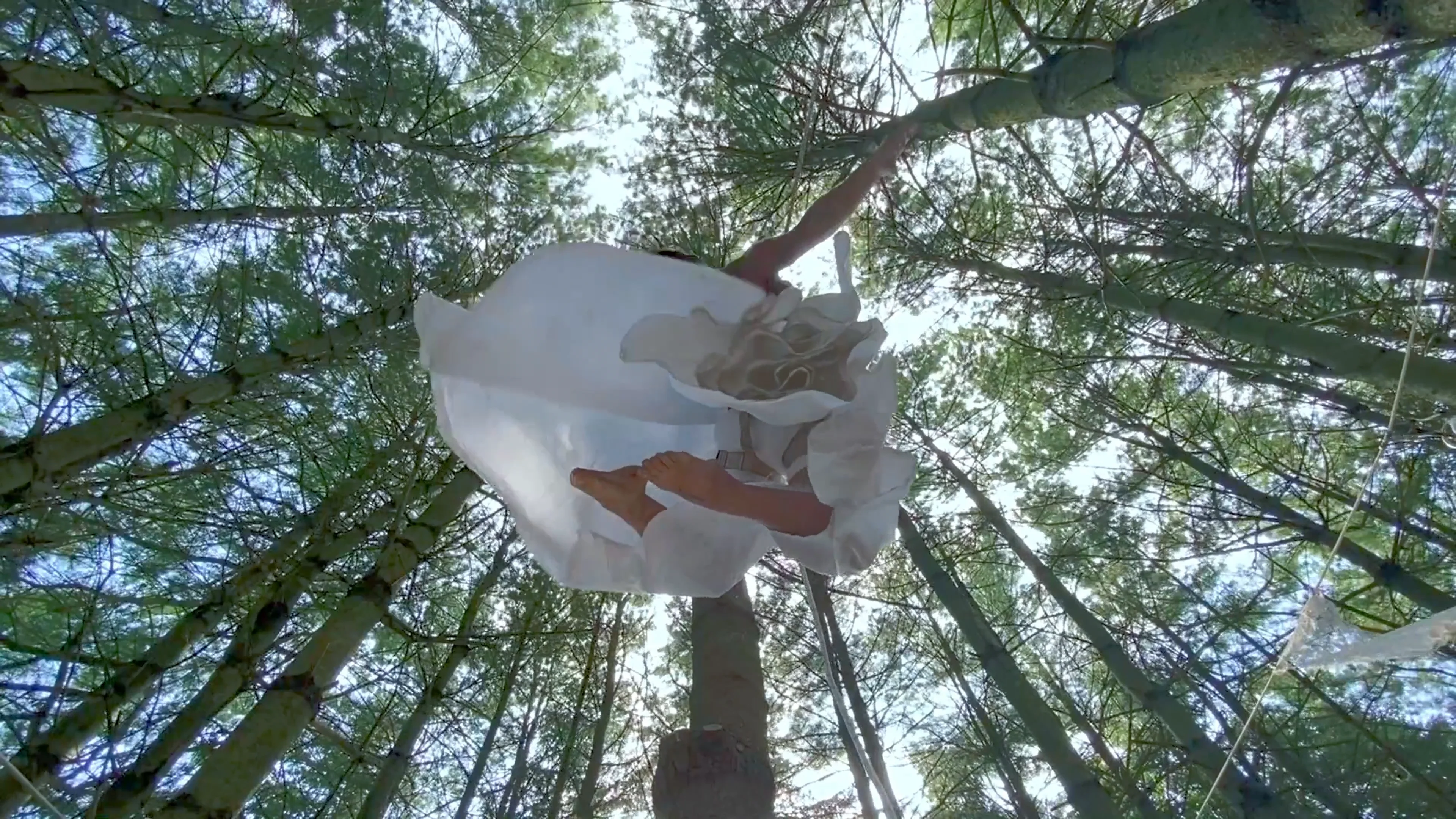 Enlazadas_full length recording of forest installation work-in-progress