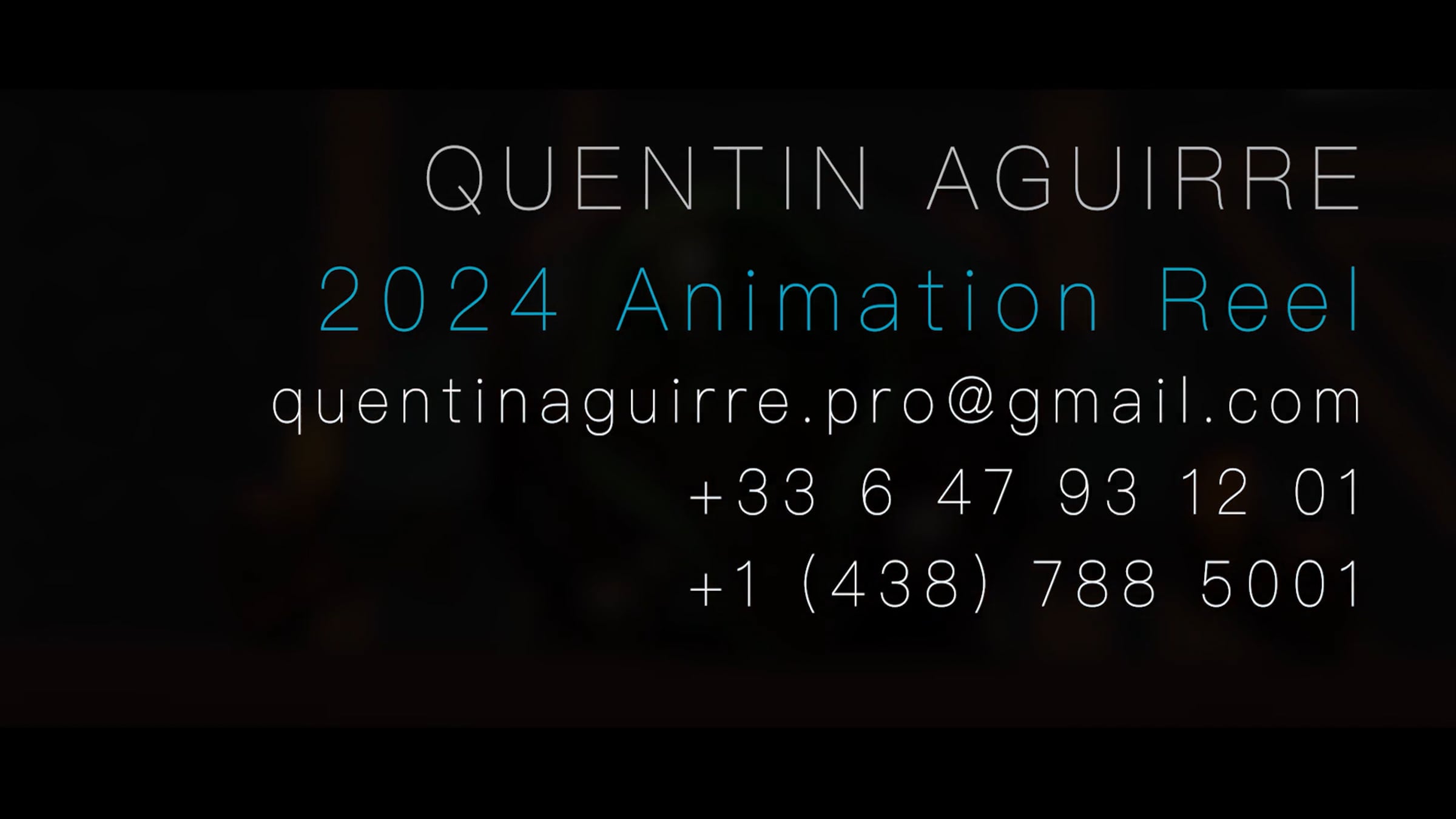 Animation Reel 2024