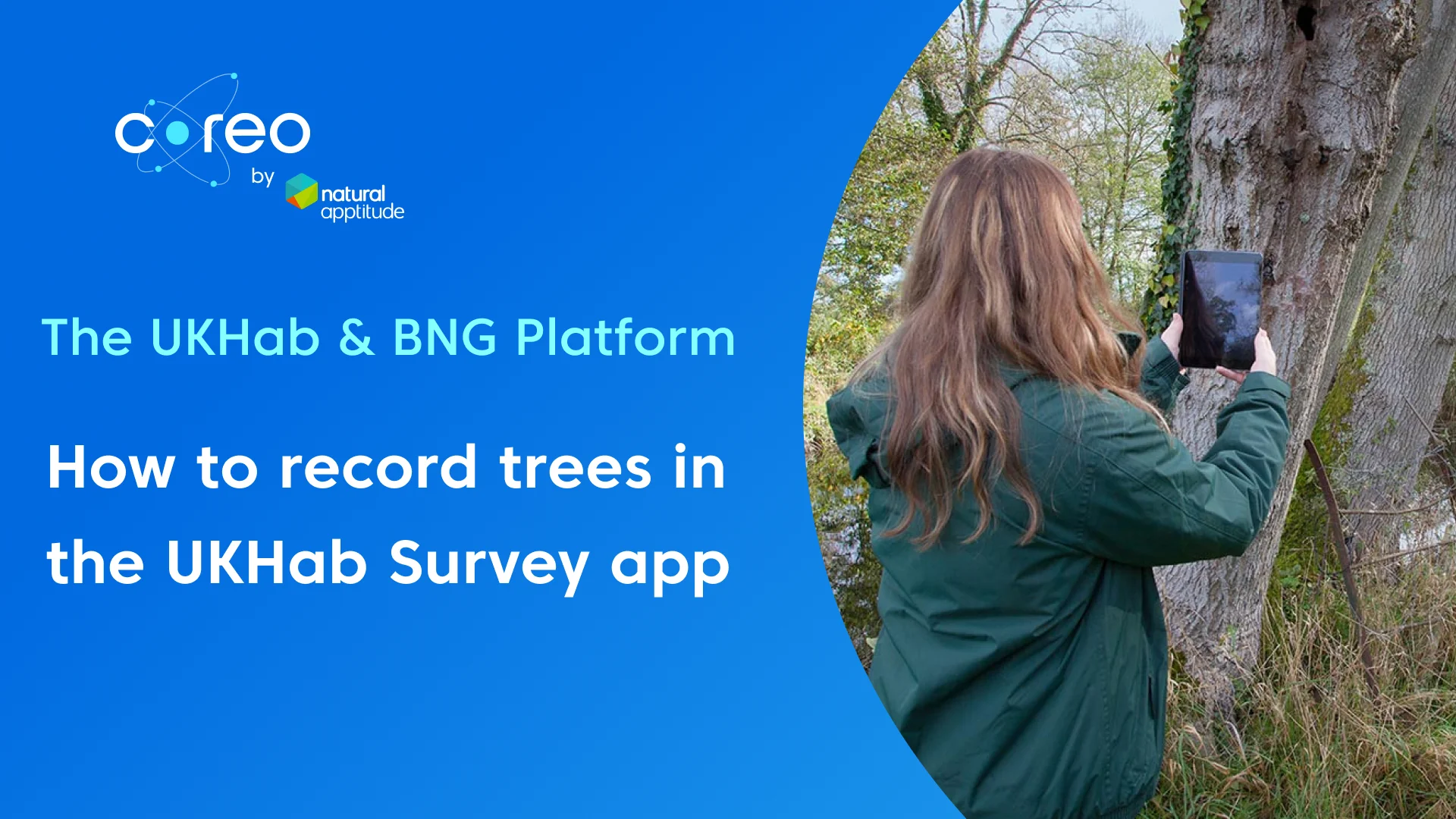 The UKHab & BNG Platform - How to record trees in the UKHab Survey app