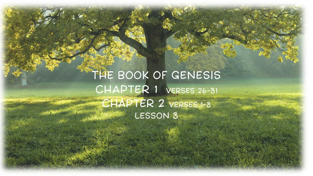 Genesis Lesson 3