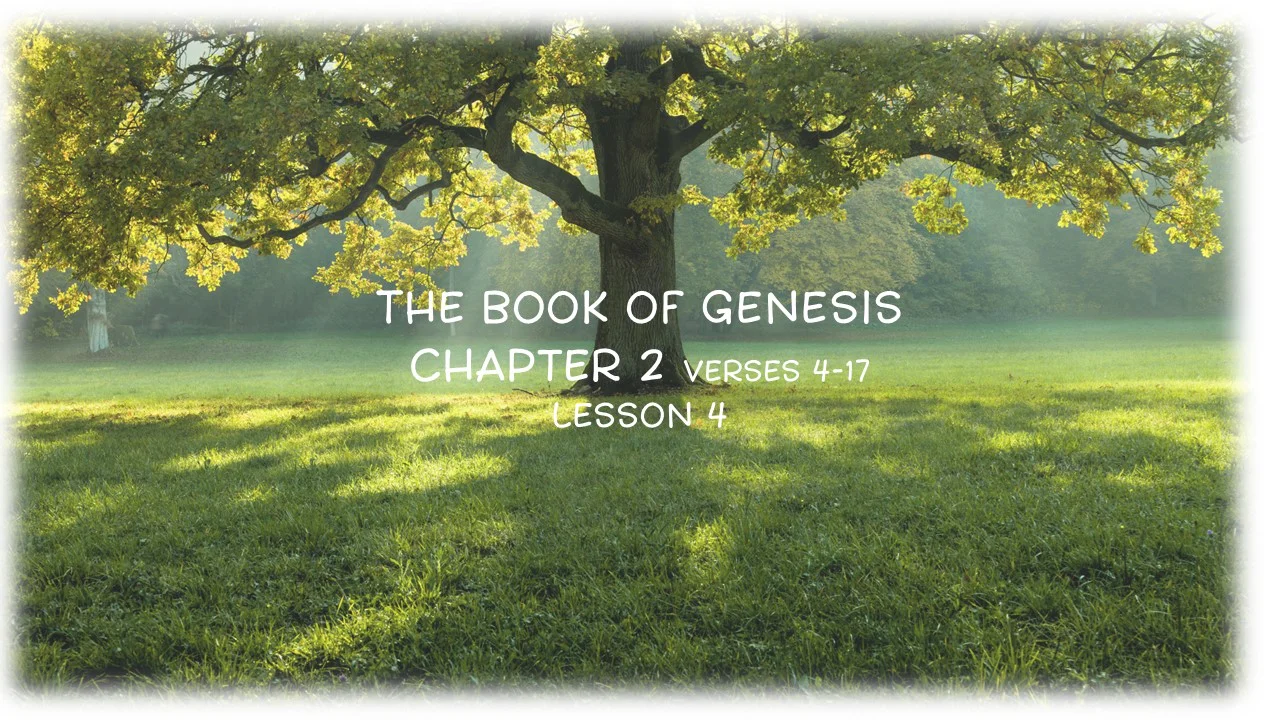 Genesis Lesson 4