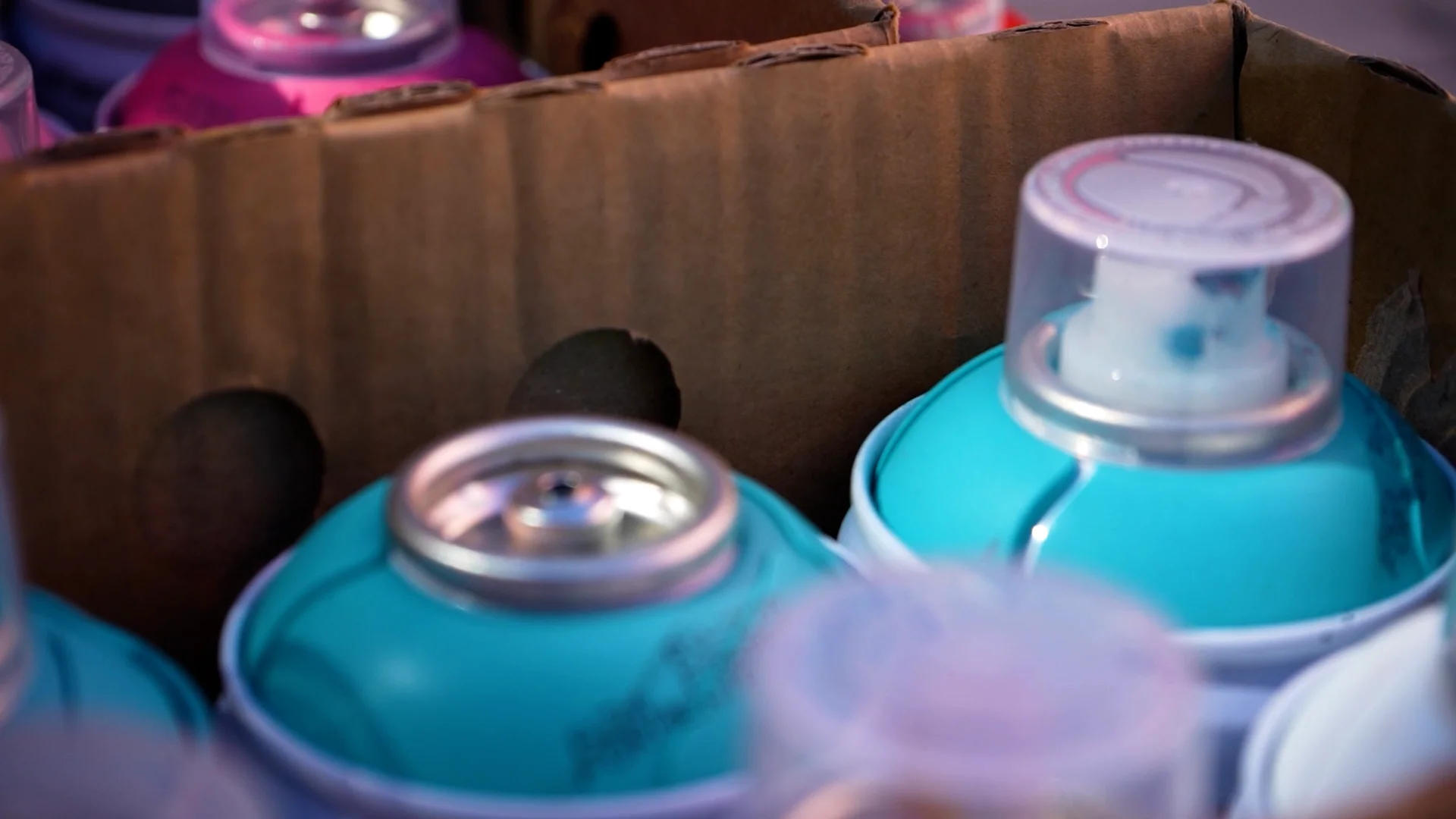 Wheaton Pavilion Mural